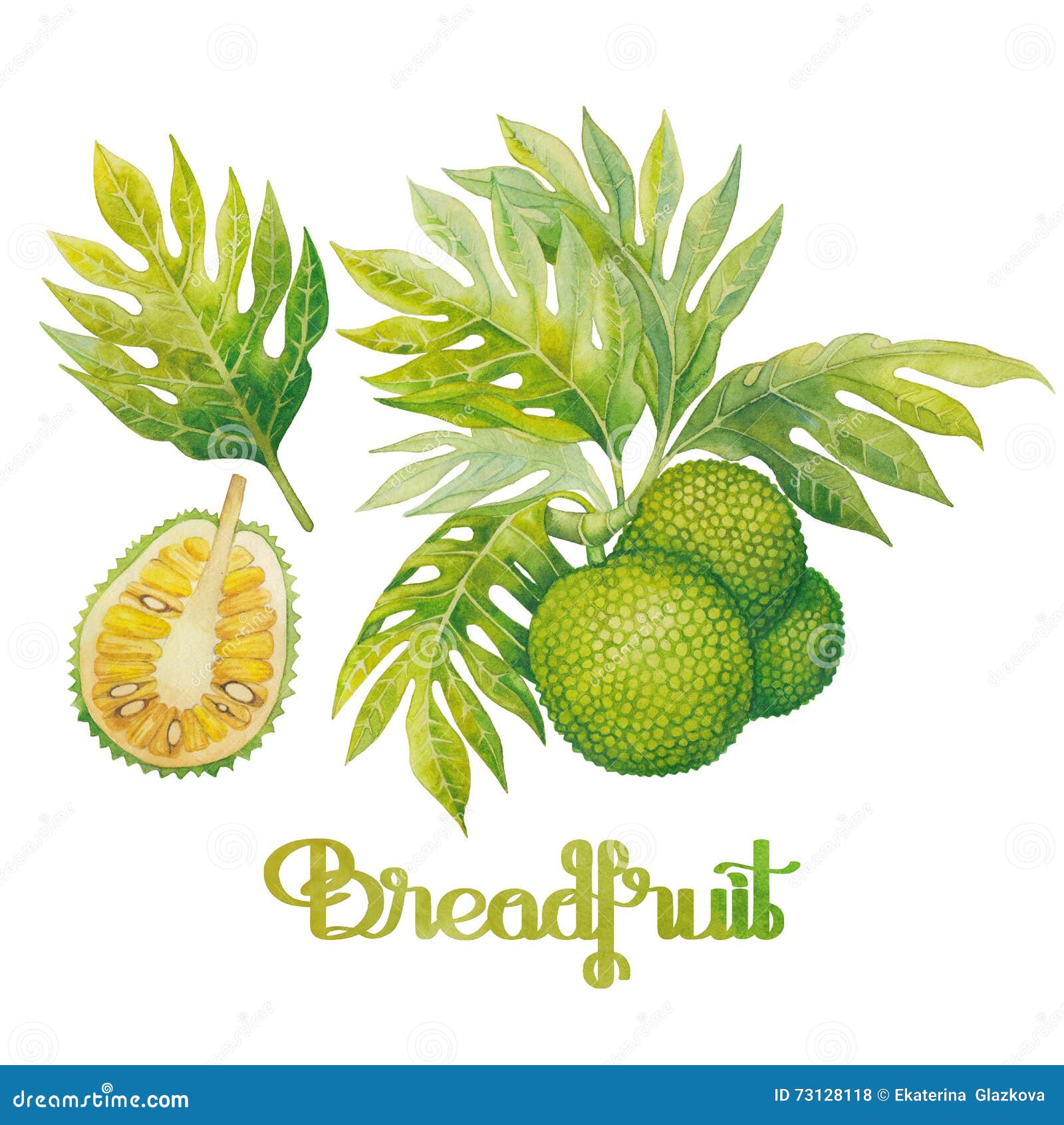 Watercolor Breadfruit Leaves Pattern Stock Image | CartoonDealer.com ...