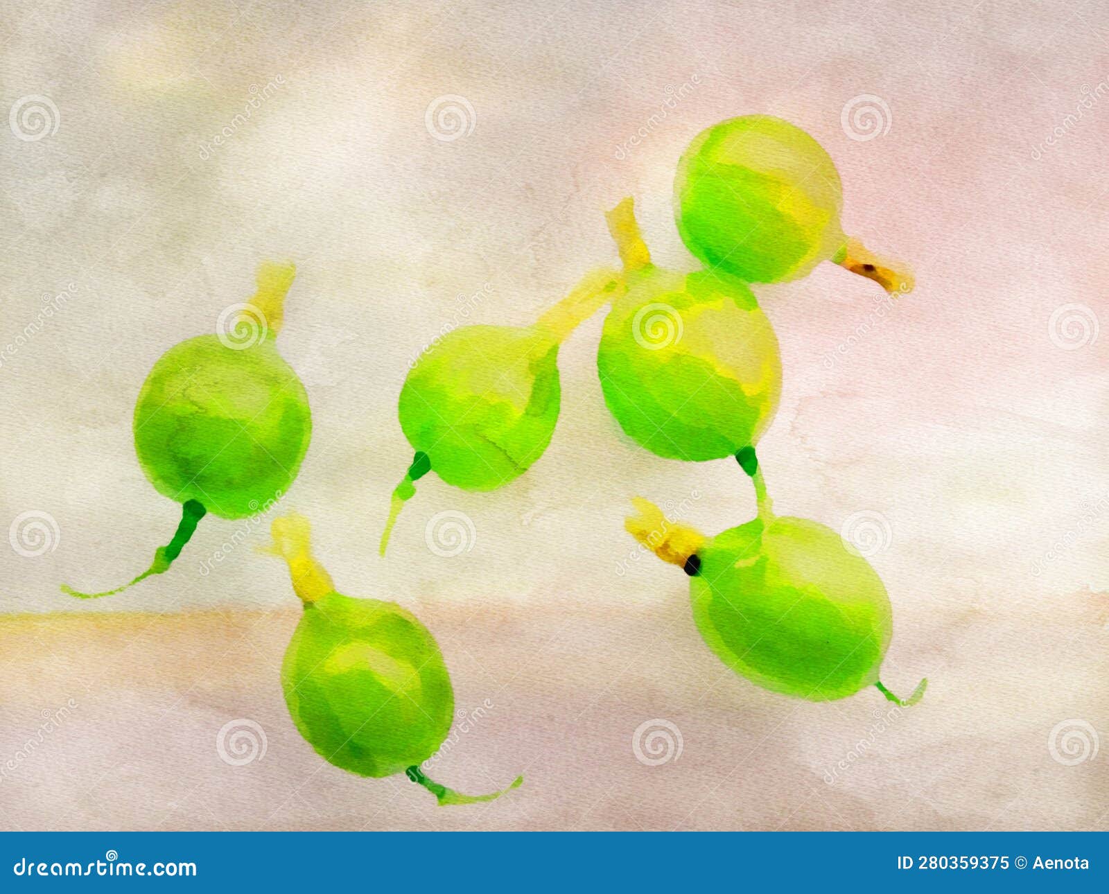 Watercolor Bright Gooseberry Painting Stock Illustration - Illustration ...