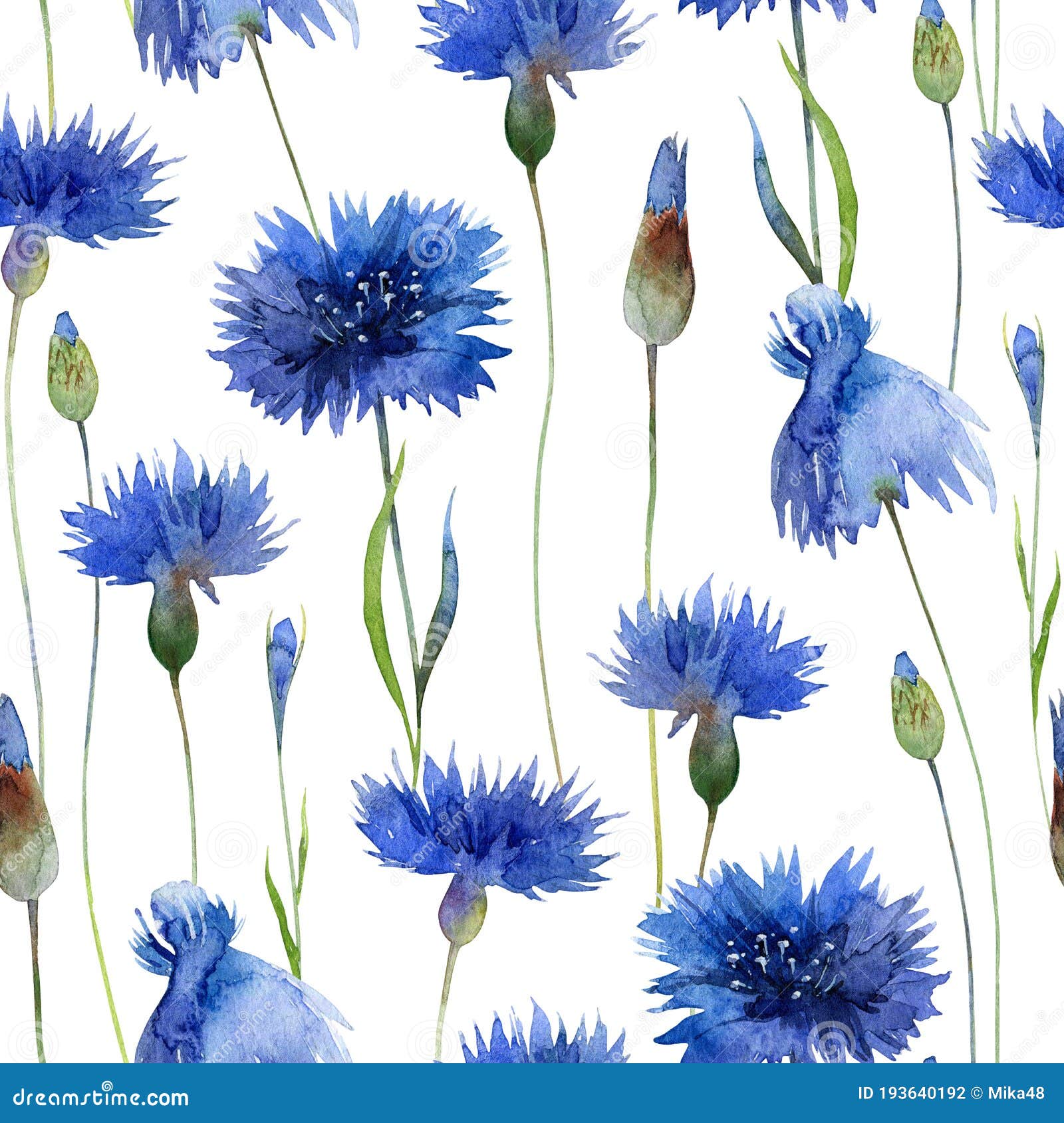 Watercolor Bright Seamless Pattern with Blue Cornflowers Stock ...