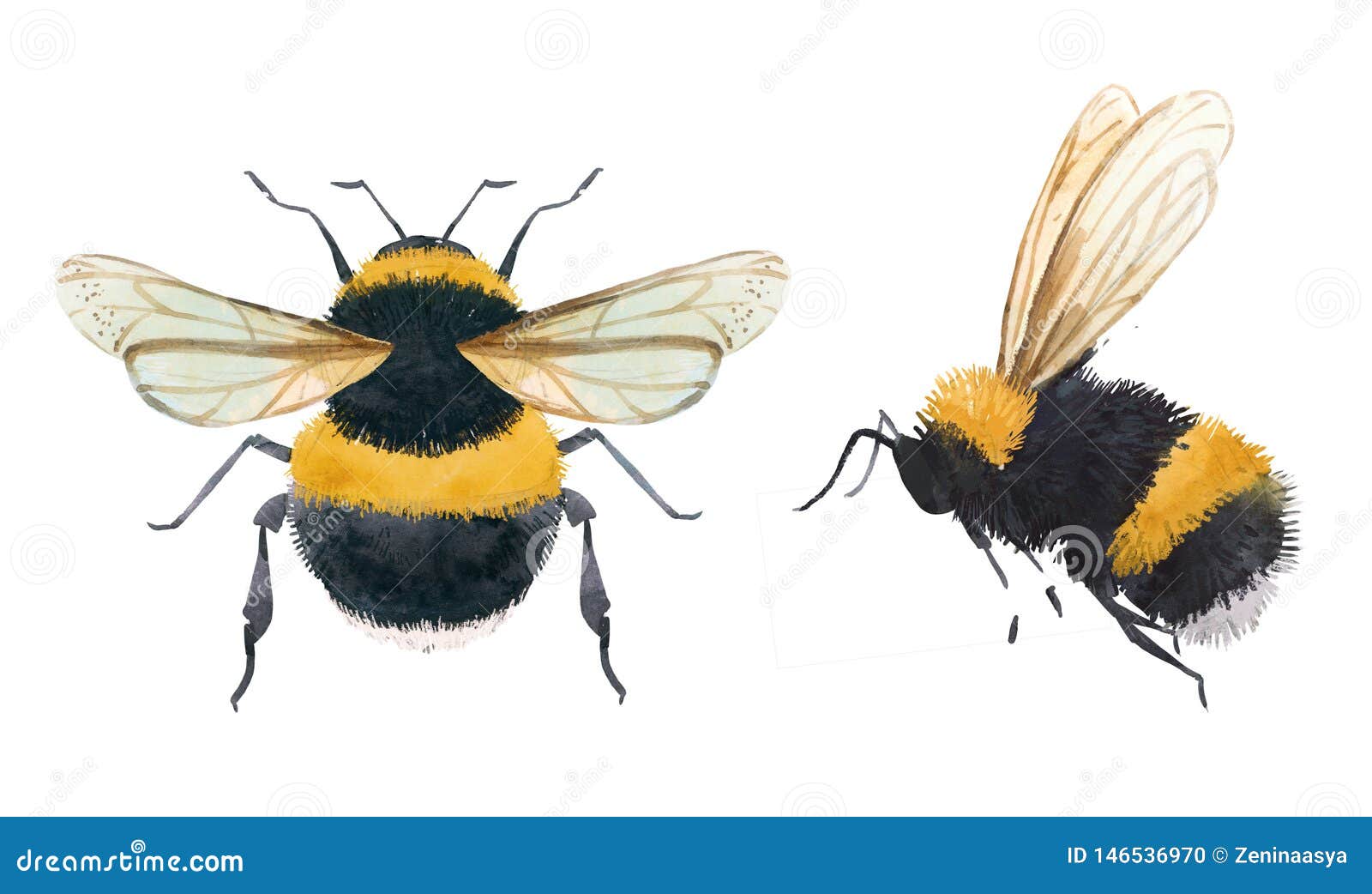 Watercolor Bumblebee Illustrations Stock Illustration - Illustration of ...