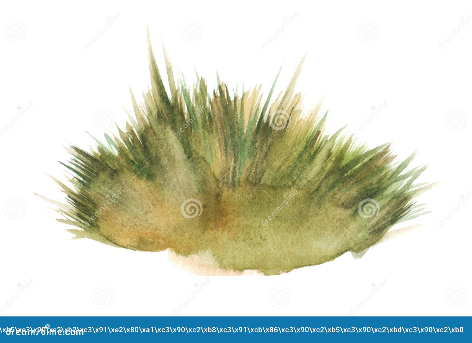 Watercolor Bushes and Chunks of Grass on a White Stock Photo - Image of ...