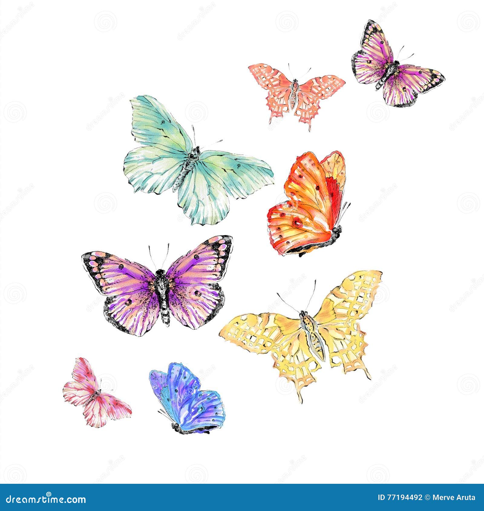 Watercolor Butterfly Isolated On White Background Hand Painted ...