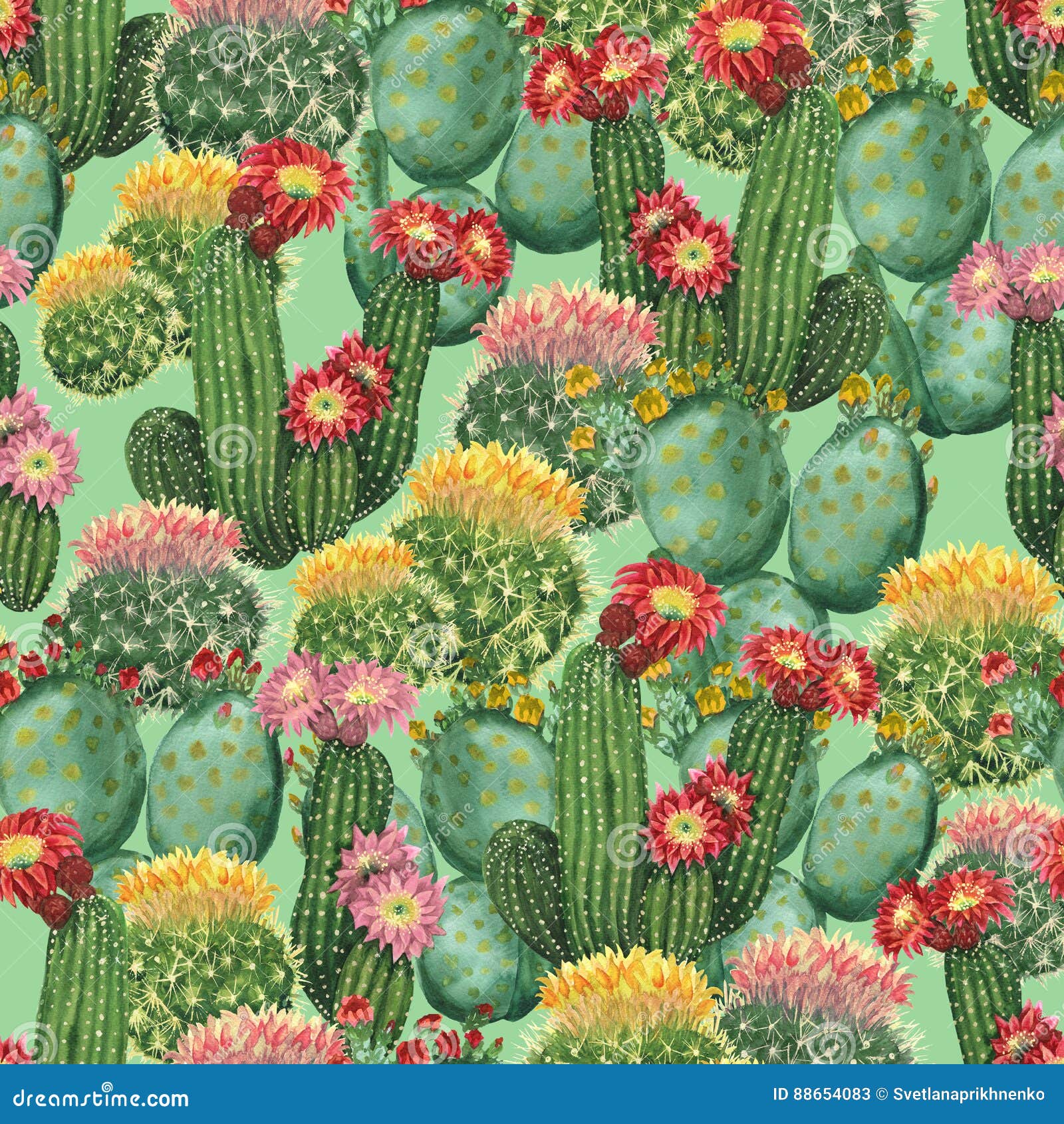 Cactus Background Cactus Plants Closeup Cactus Thorns Stock Photo ...