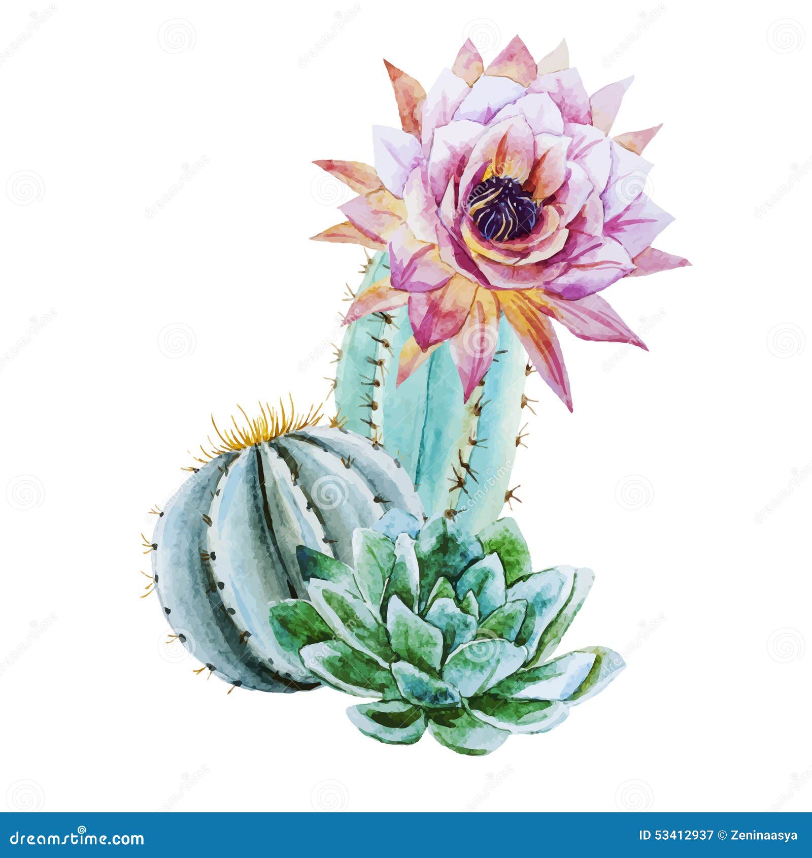 Watercolor cactus stock vector. Illustration of element - 53412937