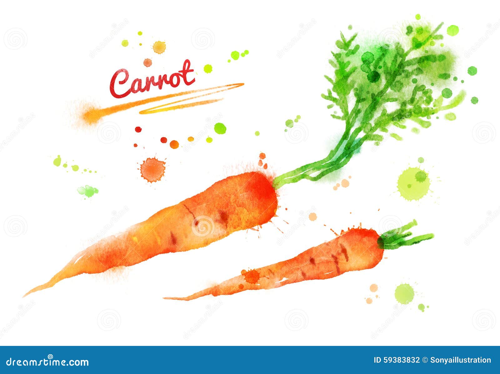 Watercolor carrots. stock illustration. Illustration of paint - 59383832