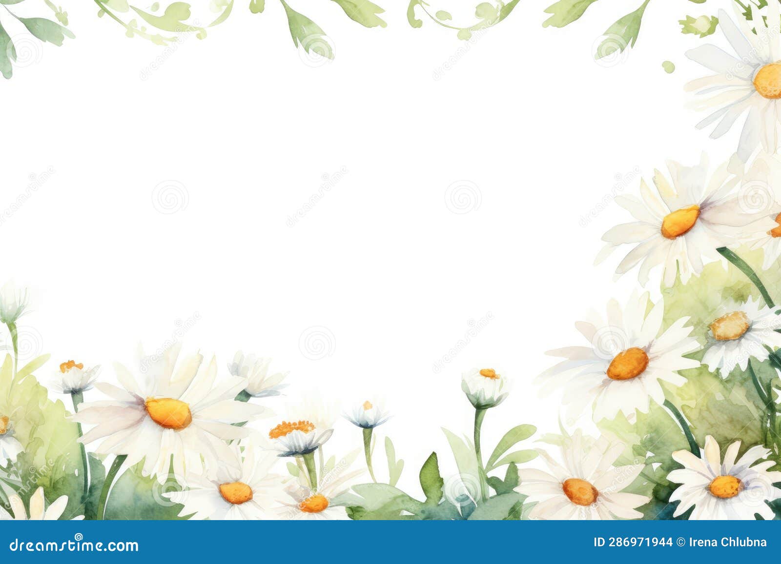 Watercolor chamomile frame stock illustration. Illustration of ...