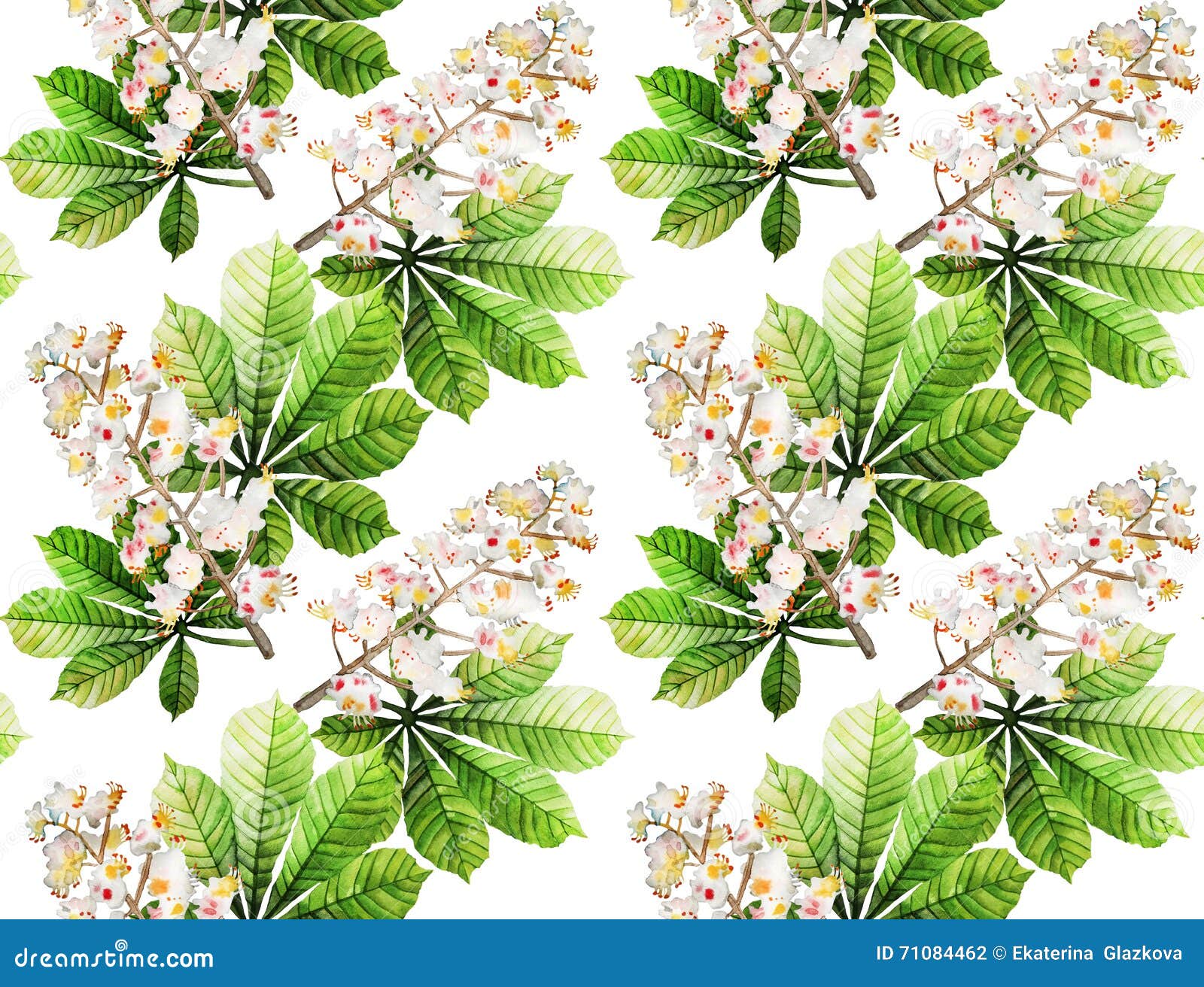 Watercolor Chestnut Seamless Pattern Stock Illustration - Illustration ...