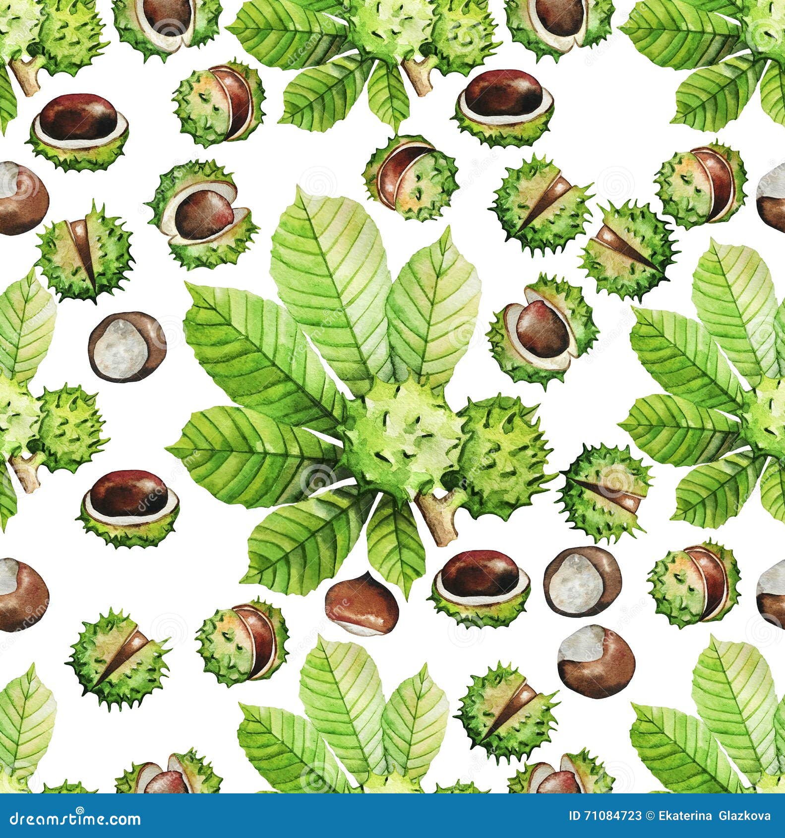 Watercolor Chestnut Seamless Pattern Stock Illustration - Illustration ...