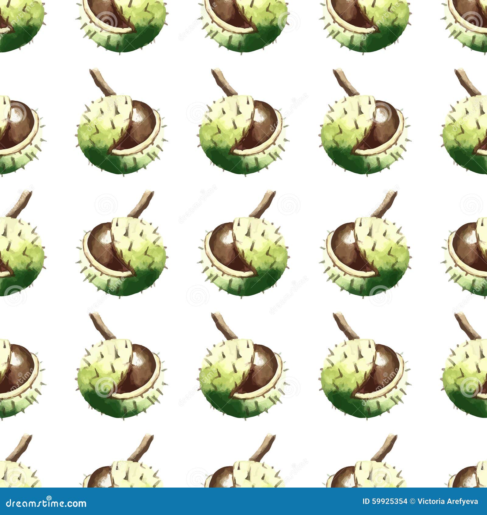 Watercolor Chestnut Walnut. Stock Illustration - Illustration of ...