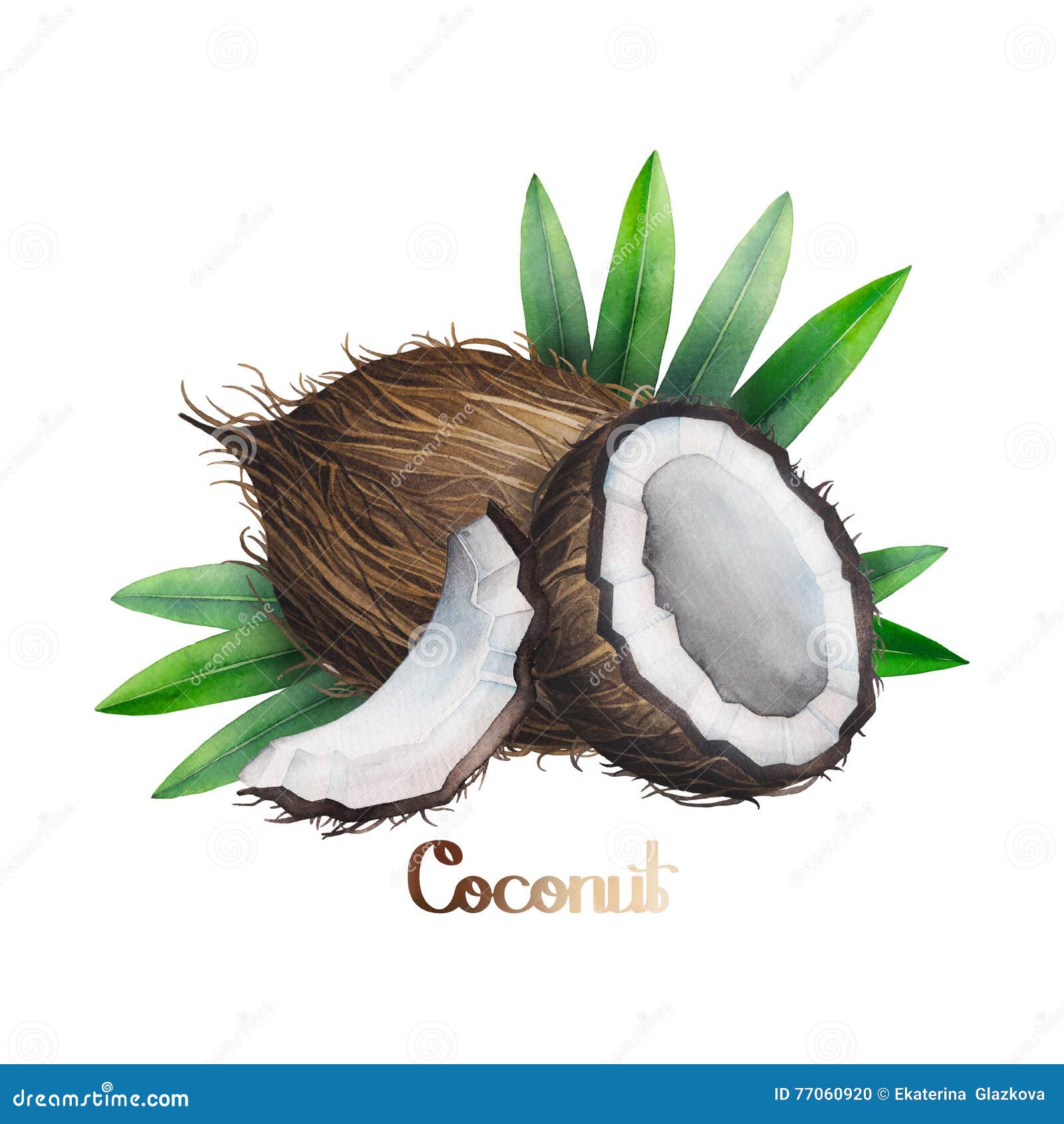 Watercolor coconut design stock illustration. Illustration of palm ...
