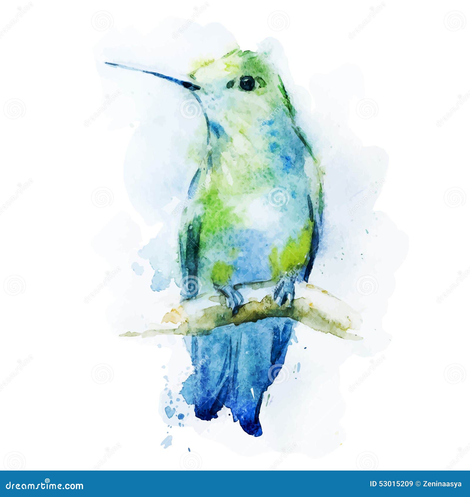 Watercolor colibri bird stock vector. Illustration of sipping - 53015209