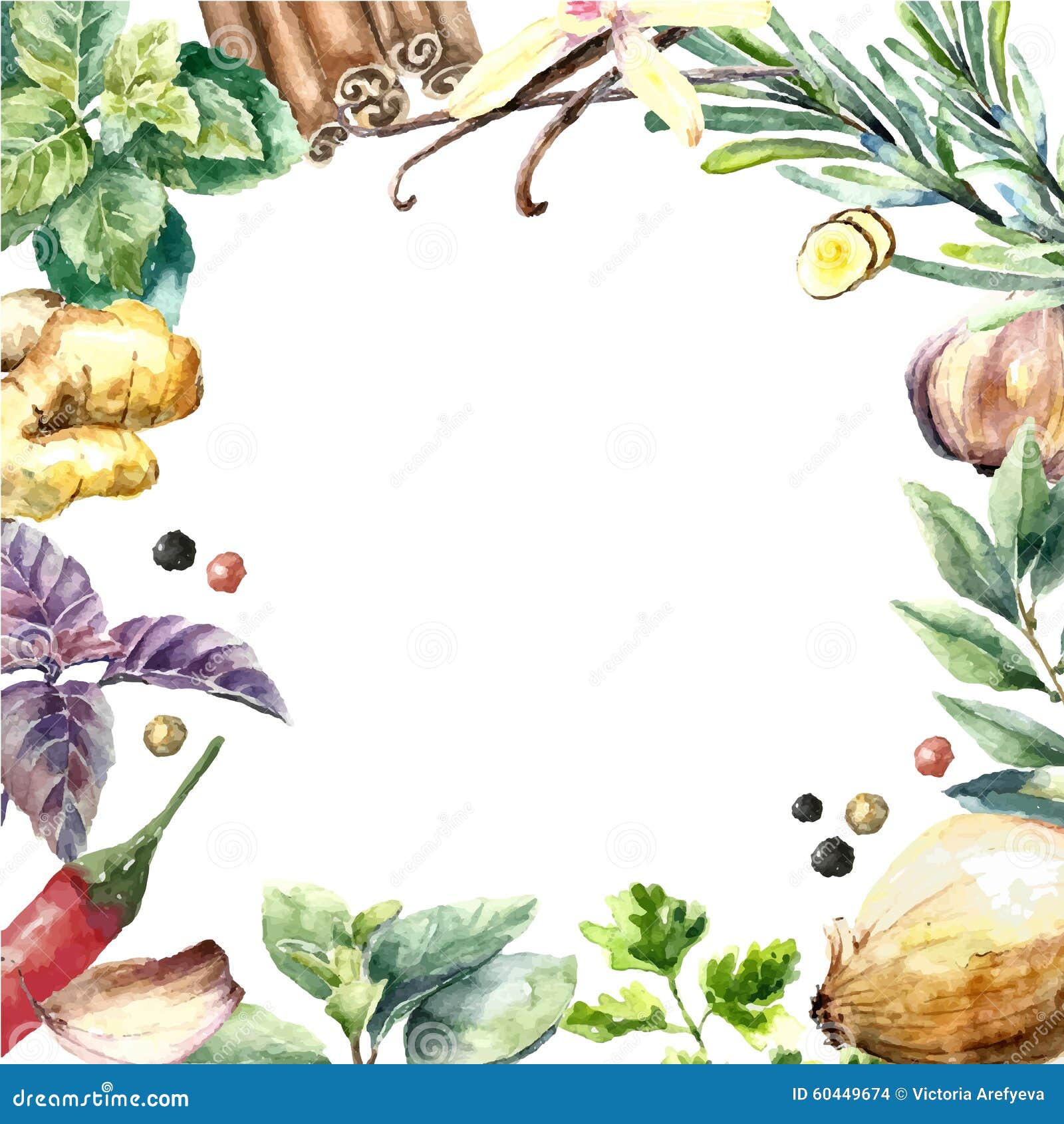 Watercolor Collection of Fresh Herbs and Spices . Stock Vector ...