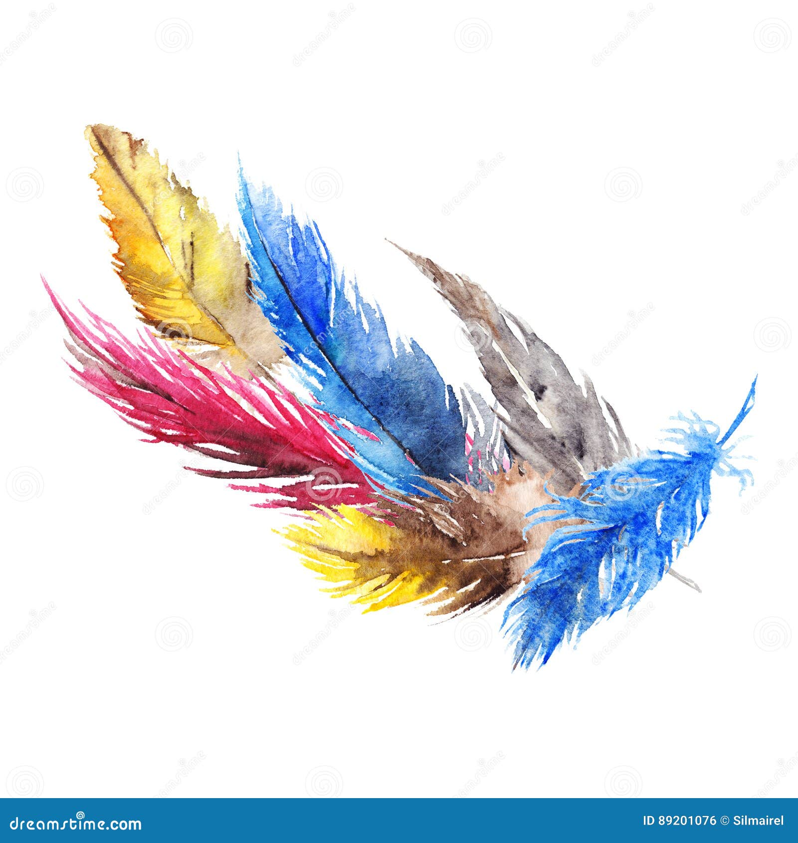 Watercolor Colorful Bird Feather Abstract Composition Isolated Stock ...