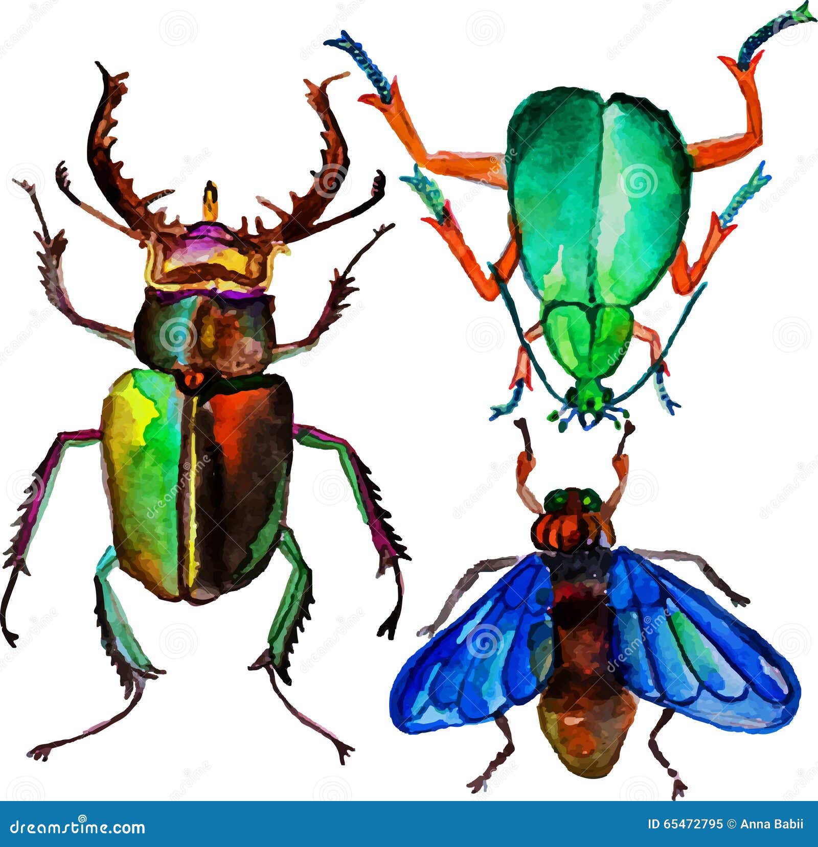 Watercolor Colorful Insects Stock Vector - Illustration of hexapod ...