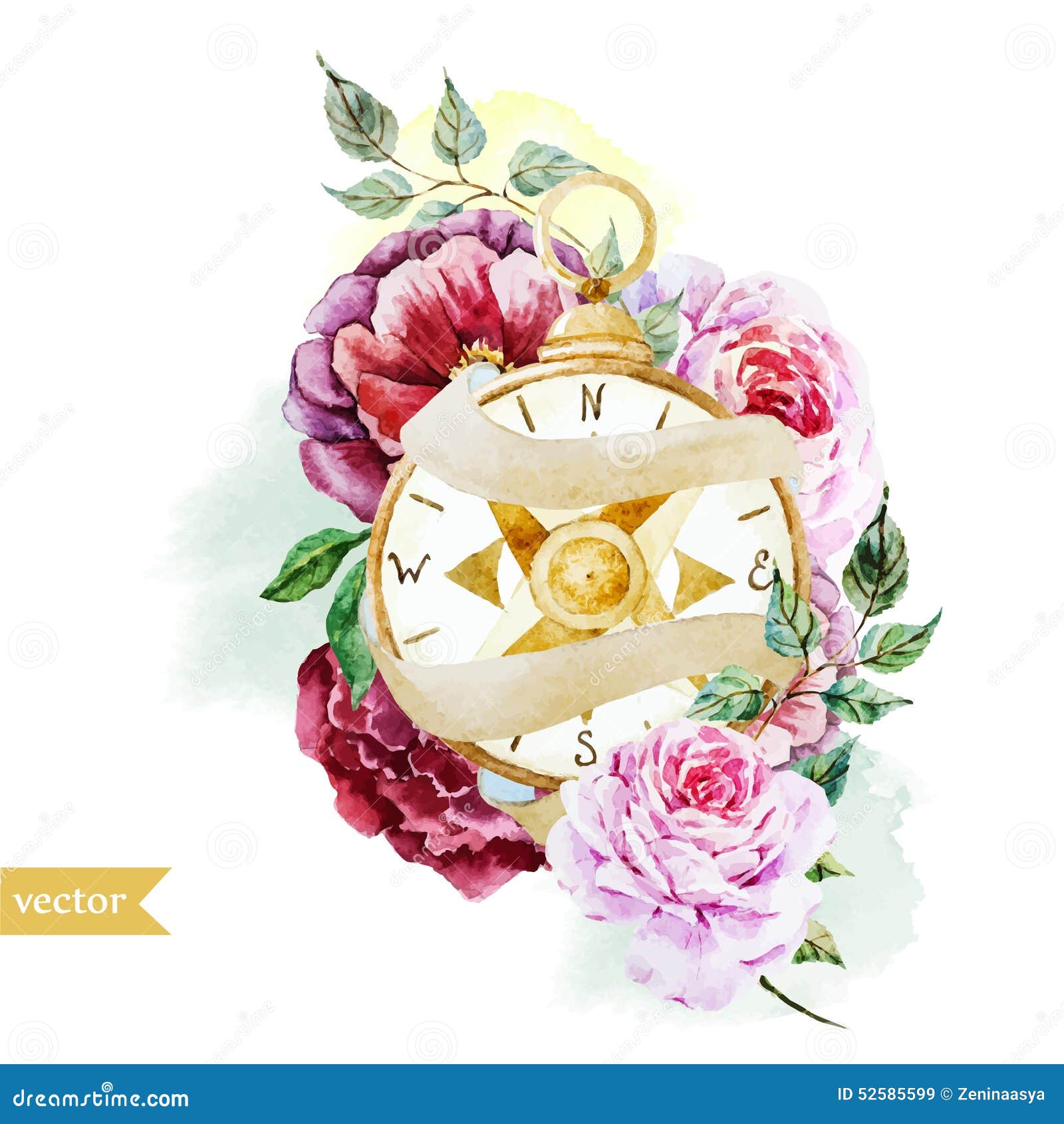 Watercolor Compass Vector Illustration | CartoonDealer.com #52585526