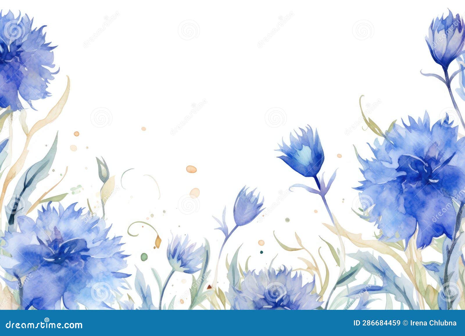 Watercolor Cornflower Frame Stock Illustration - Illustration of spring ...