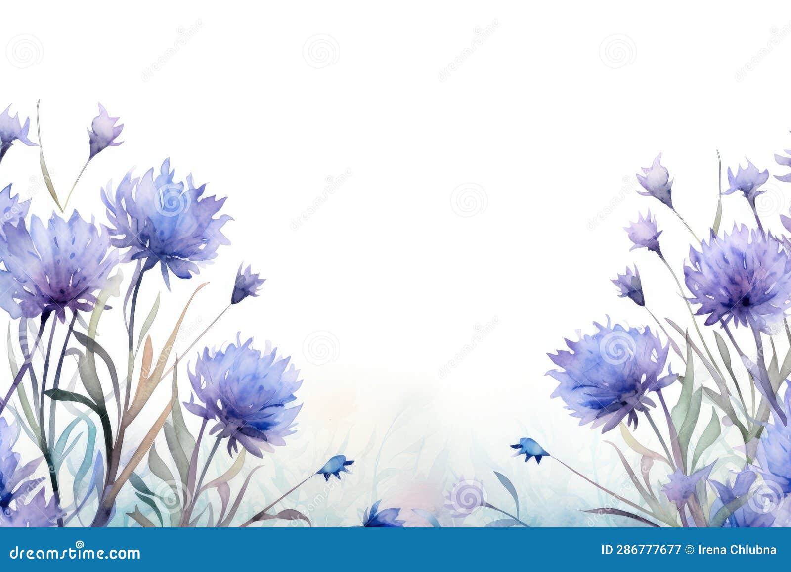 Watercolor Cornflower Frame Stock Illustration - Illustration of ...