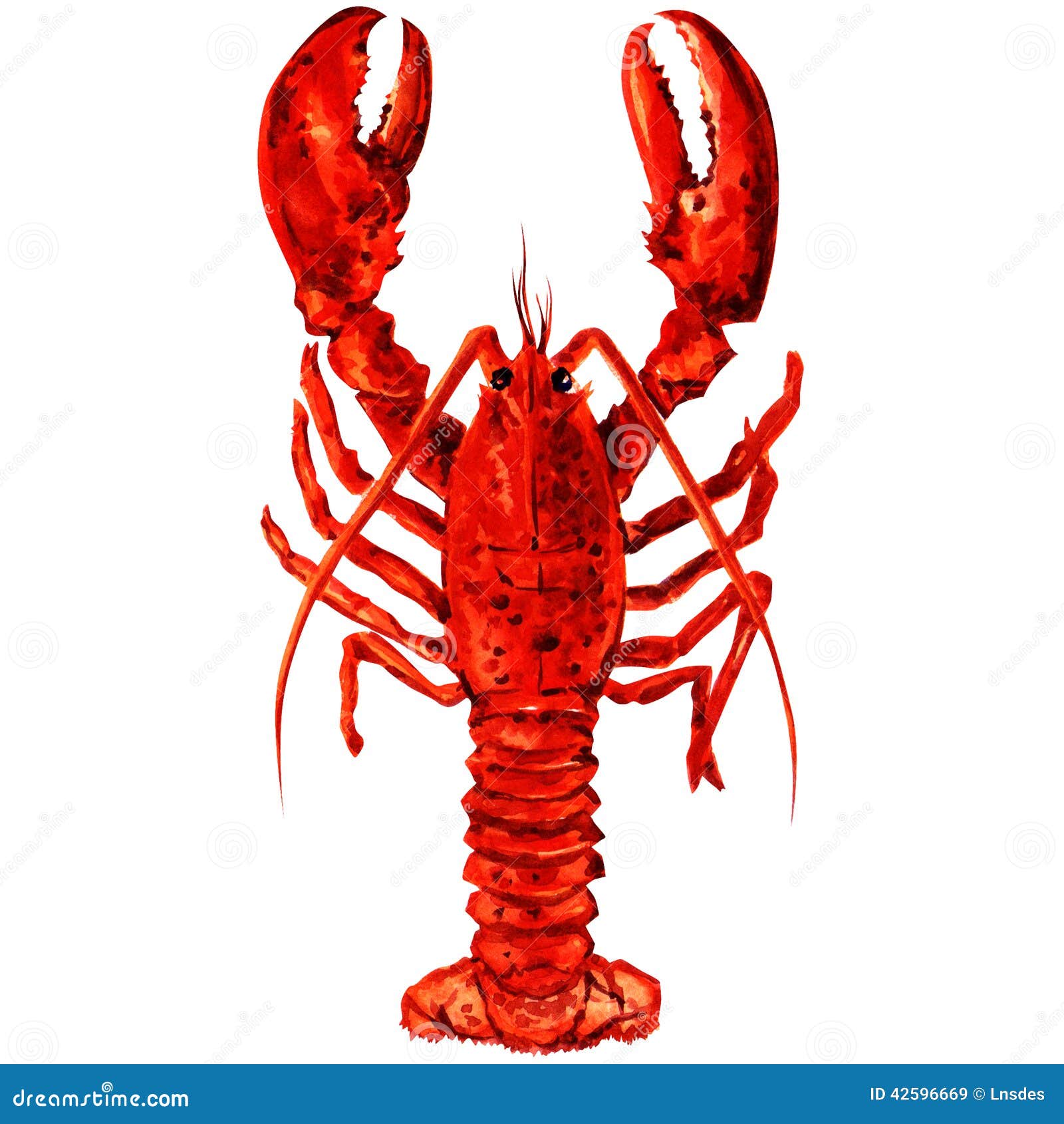 Watercolor crayfish. stock illustration. Illustration of hardshell ... Watercolor crayfish. stock illustration. Illustration of hardshell ...