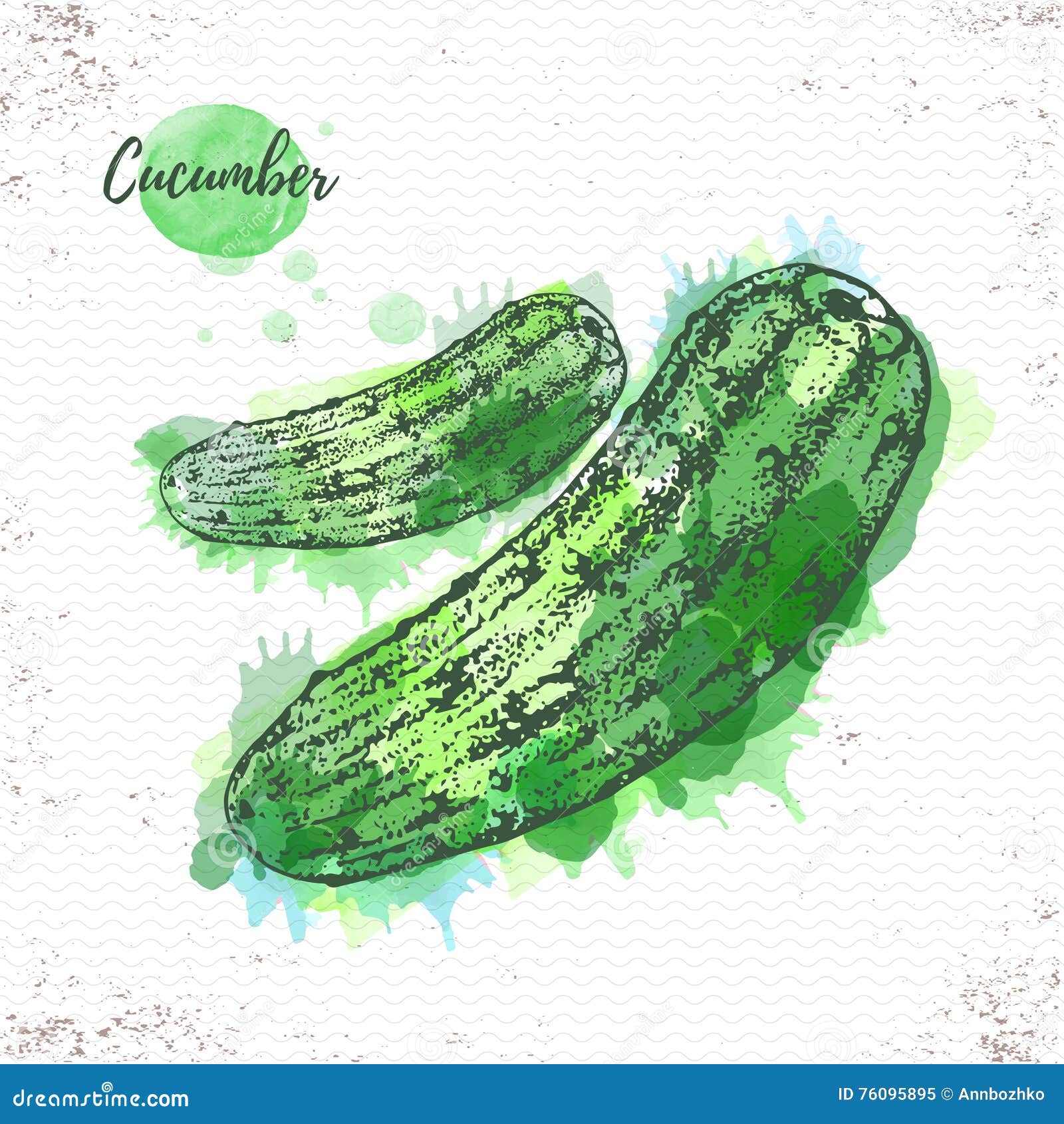 Cucumber Sketch. Monochrome Outline Of Cucumber Isolated On White ...