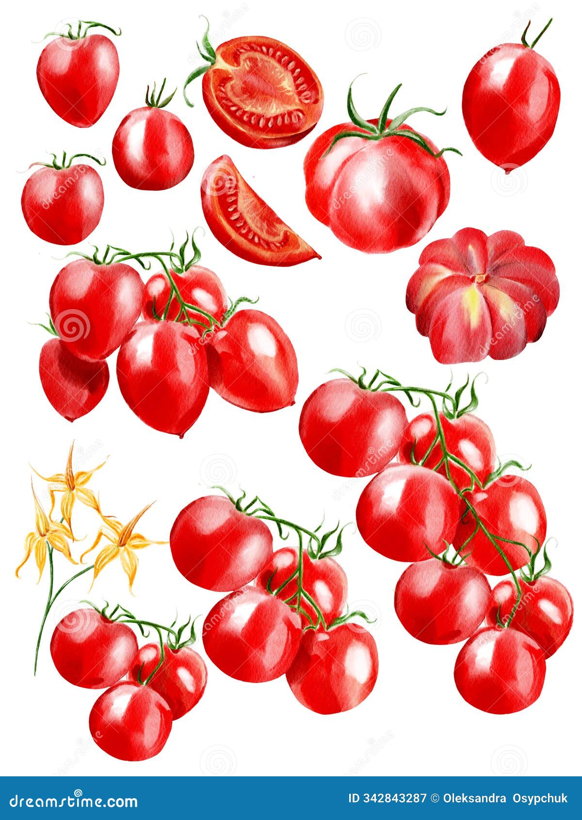 Watercolor Different Tomato Set Stock Image - Image of zucchini, tomato: 342843287