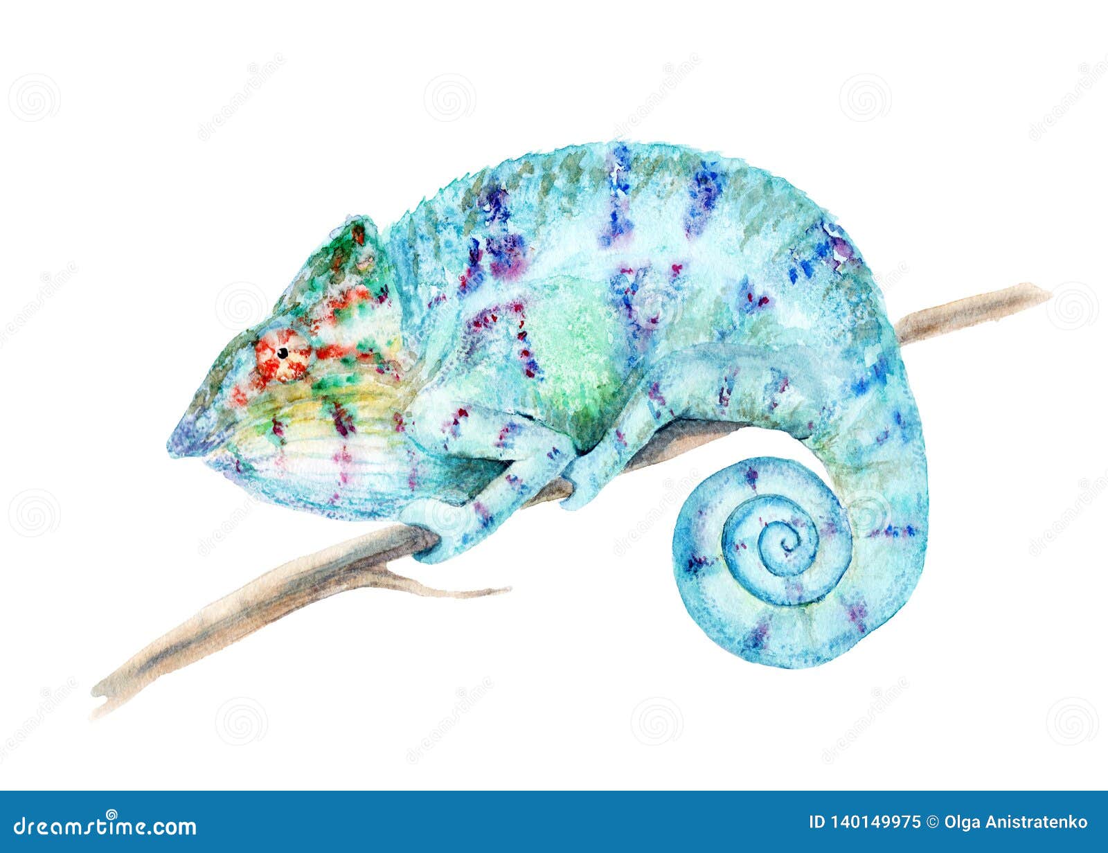 Watercolor Drawing of an Animal - Colored Chameleon Stock Illustration ...