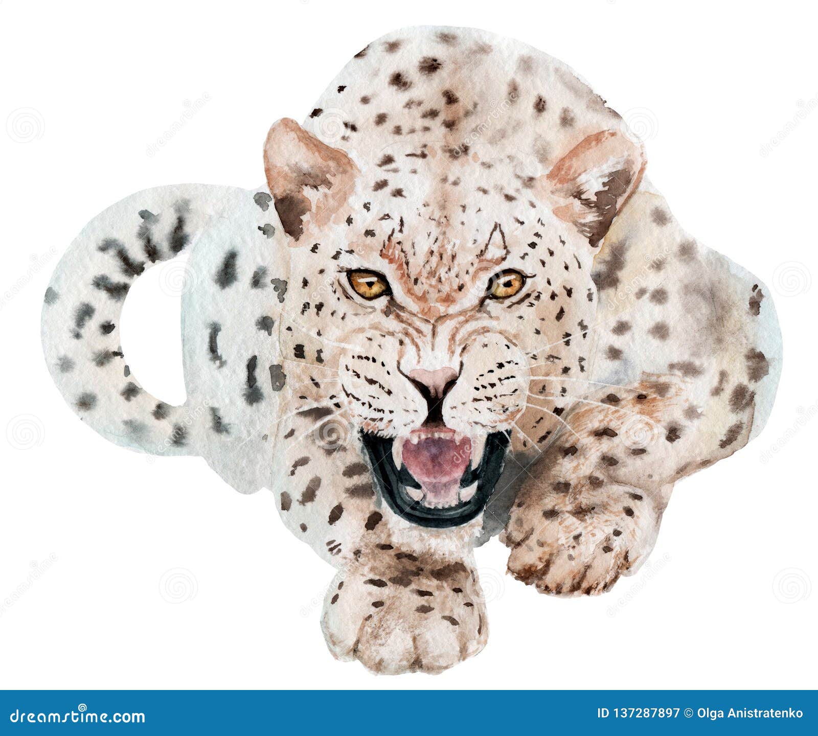 Watercolor Drawing Animal Leopard, Aggressive, Teeth, Sketch Stock ... Watercolor Drawing Animal Leopard, Aggressive, Teeth, Sketch Stock ...