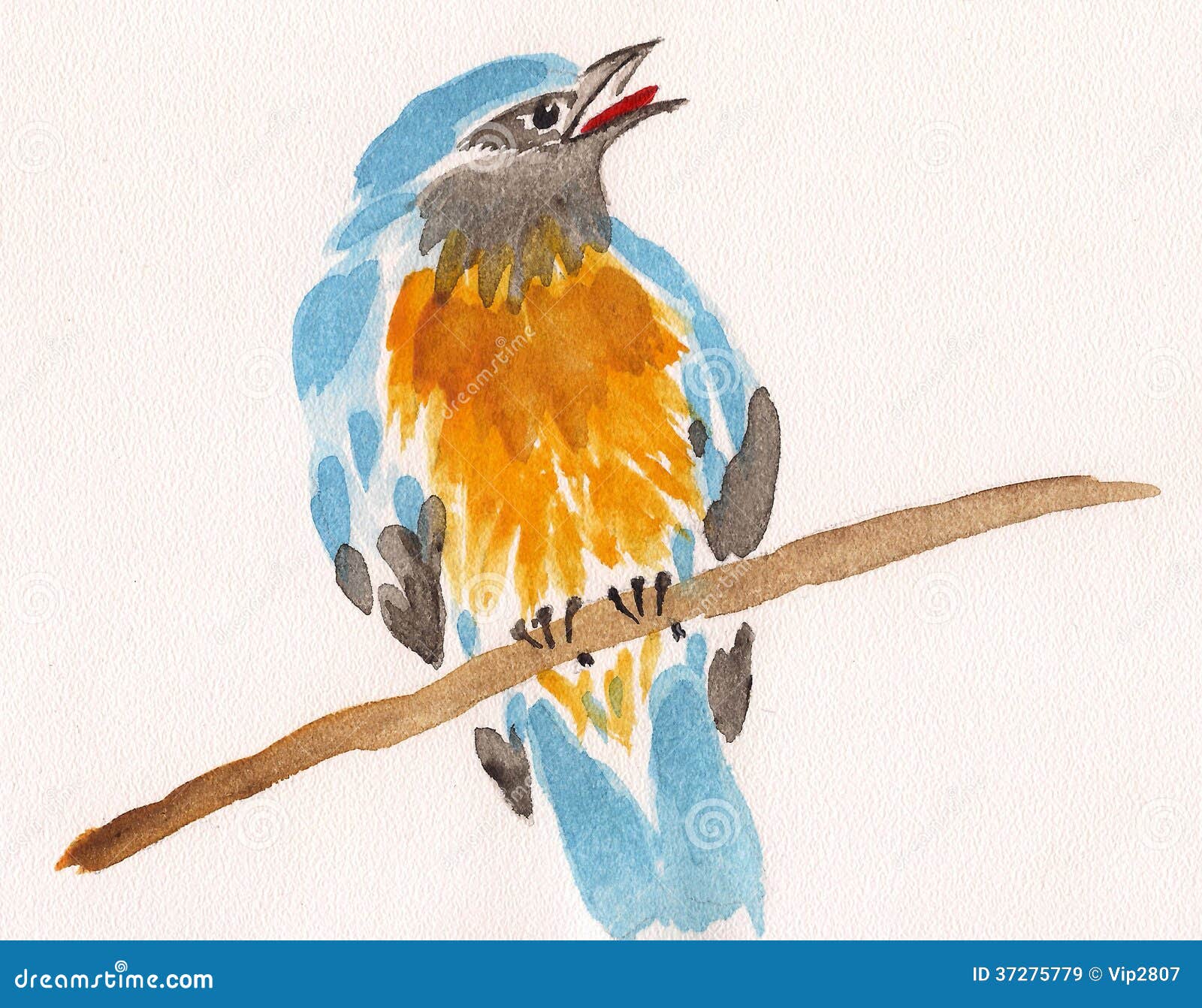 Watercolor Drawing Bird on a Branch Stock Illustration - Illustration ...