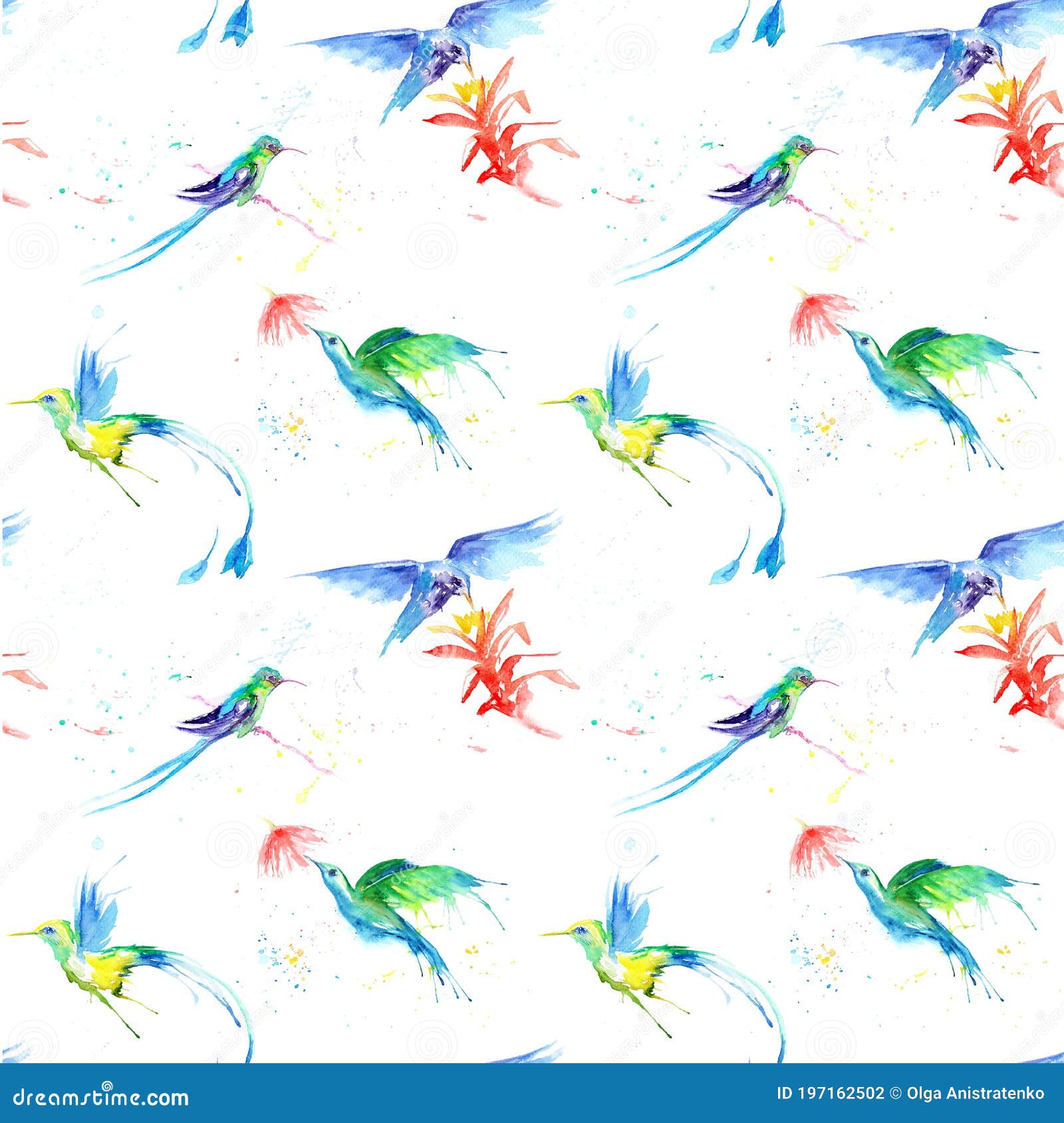 Watercolor Drawing of a Bird - a Hummingbirds Seamless Pattern Stock ...