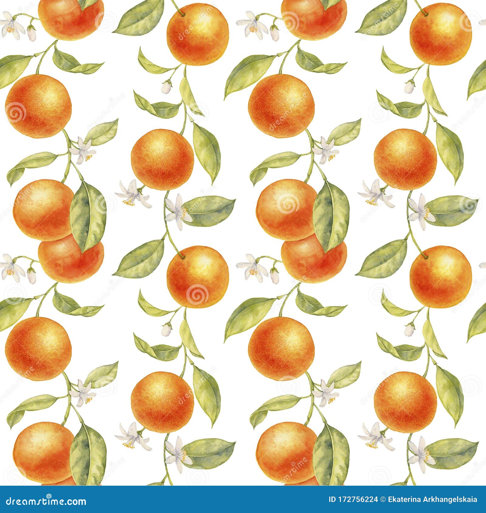 Watercolor Drawing Branch of Orange Tree Stock Illustration ... Watercolor Drawing Branch of Orange Tree Stock Illustration ...
