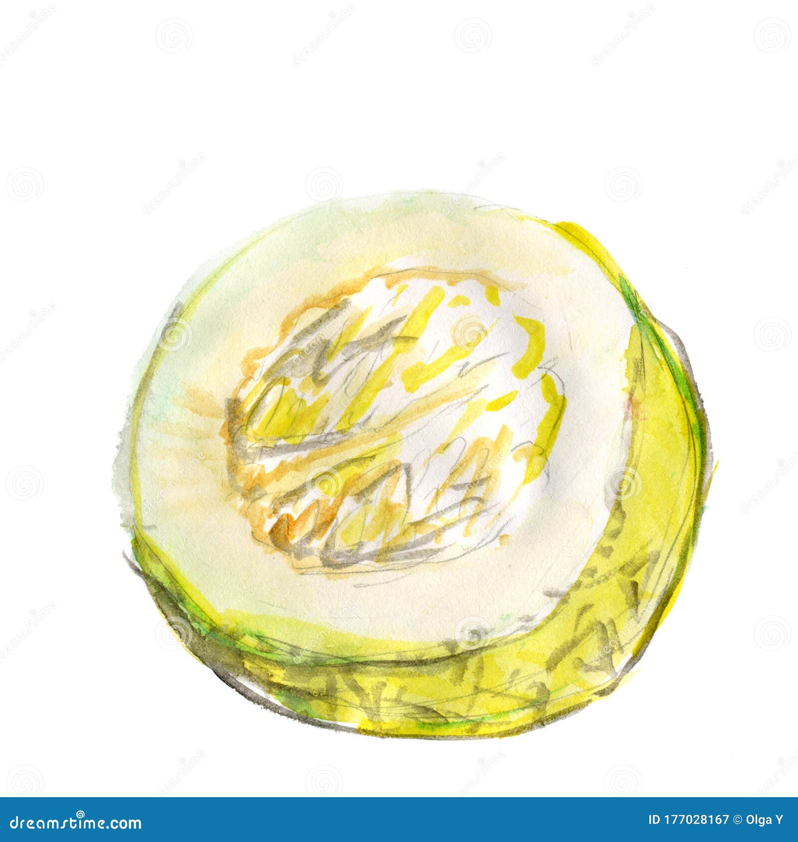 363 Melon Drawing Photos - Free & Royalty-Free Stock Photos from Dreamstime