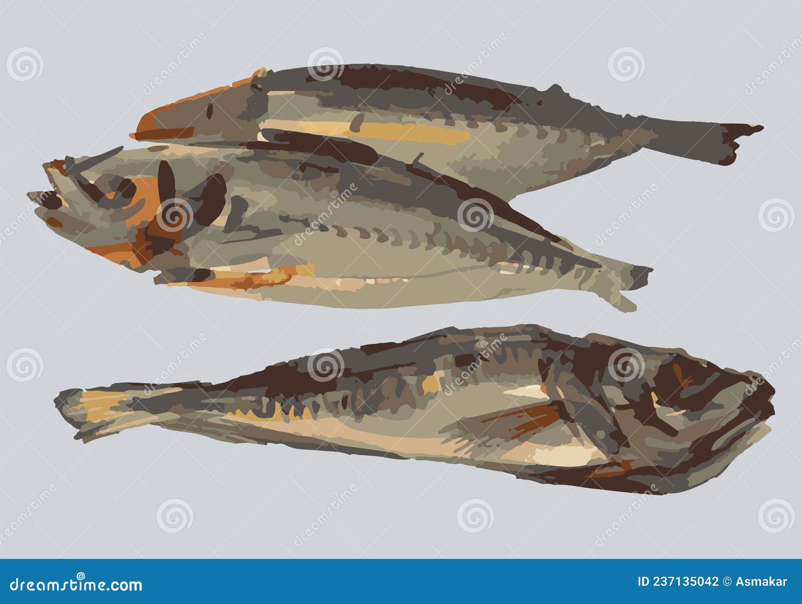 Watercolor Drawing of Caught Fresh Fish for Cooking Stock Vector ...