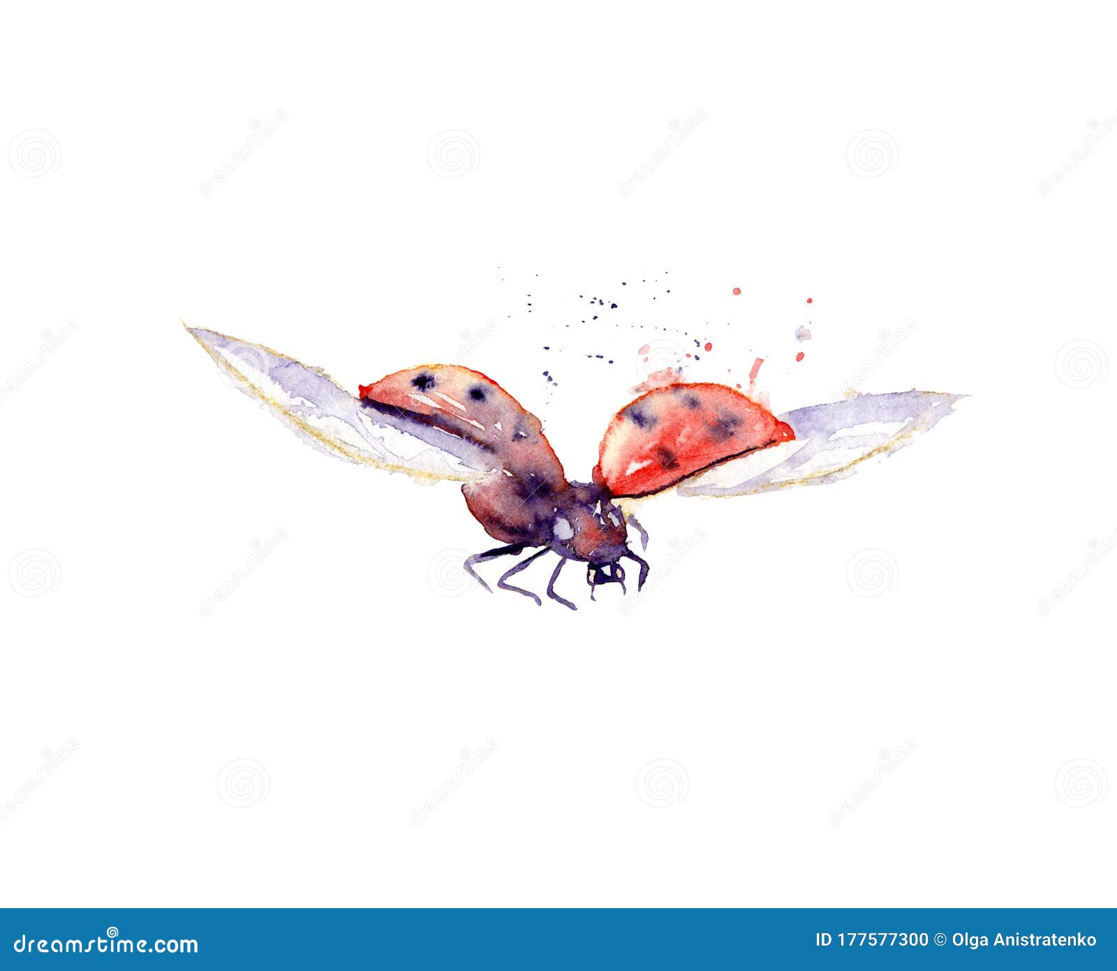 How To Draw A Ladybug Flying