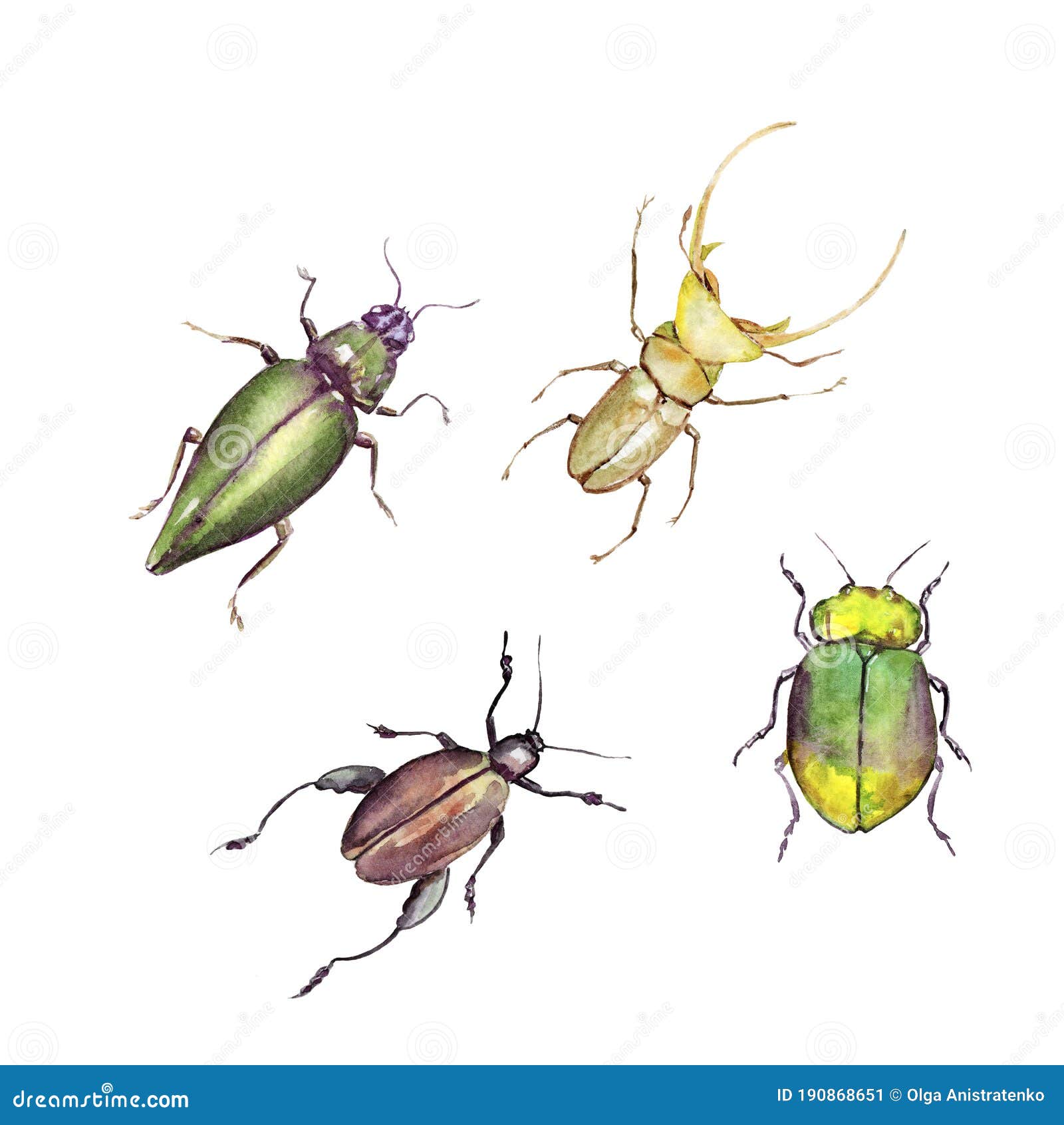 Watercolor Drawing Of An Insects - Bright Beetle, Isolated Royalty-Free ...