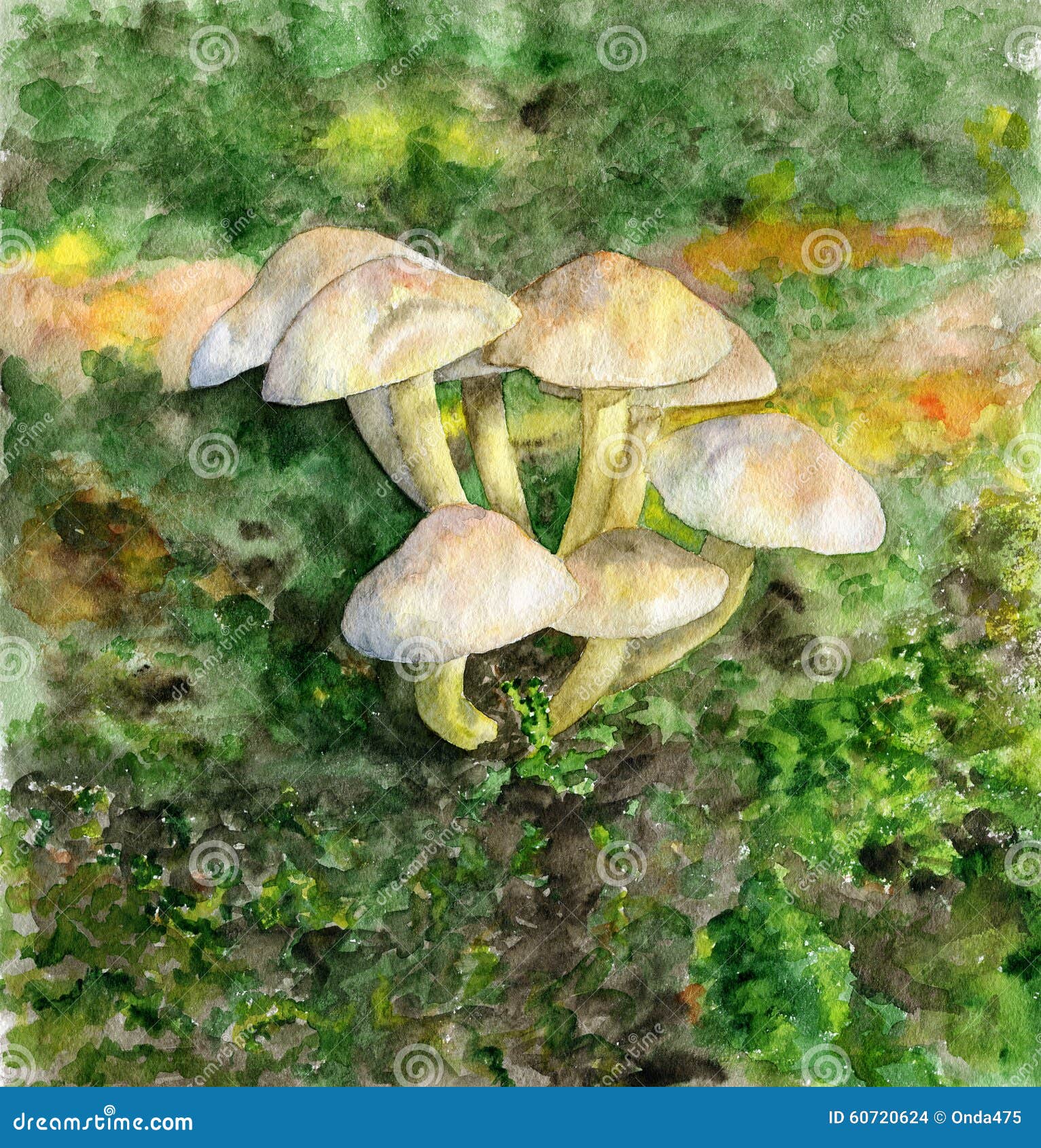 Watercolor Drawing. Mushrooms in the Forest on the Grass. Stock ...