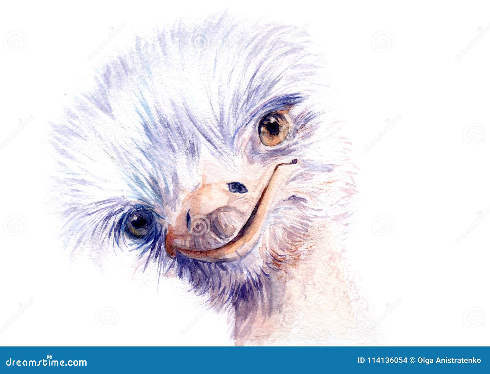 Ostrich Sketch Black For Your Design Vector Illustration ...