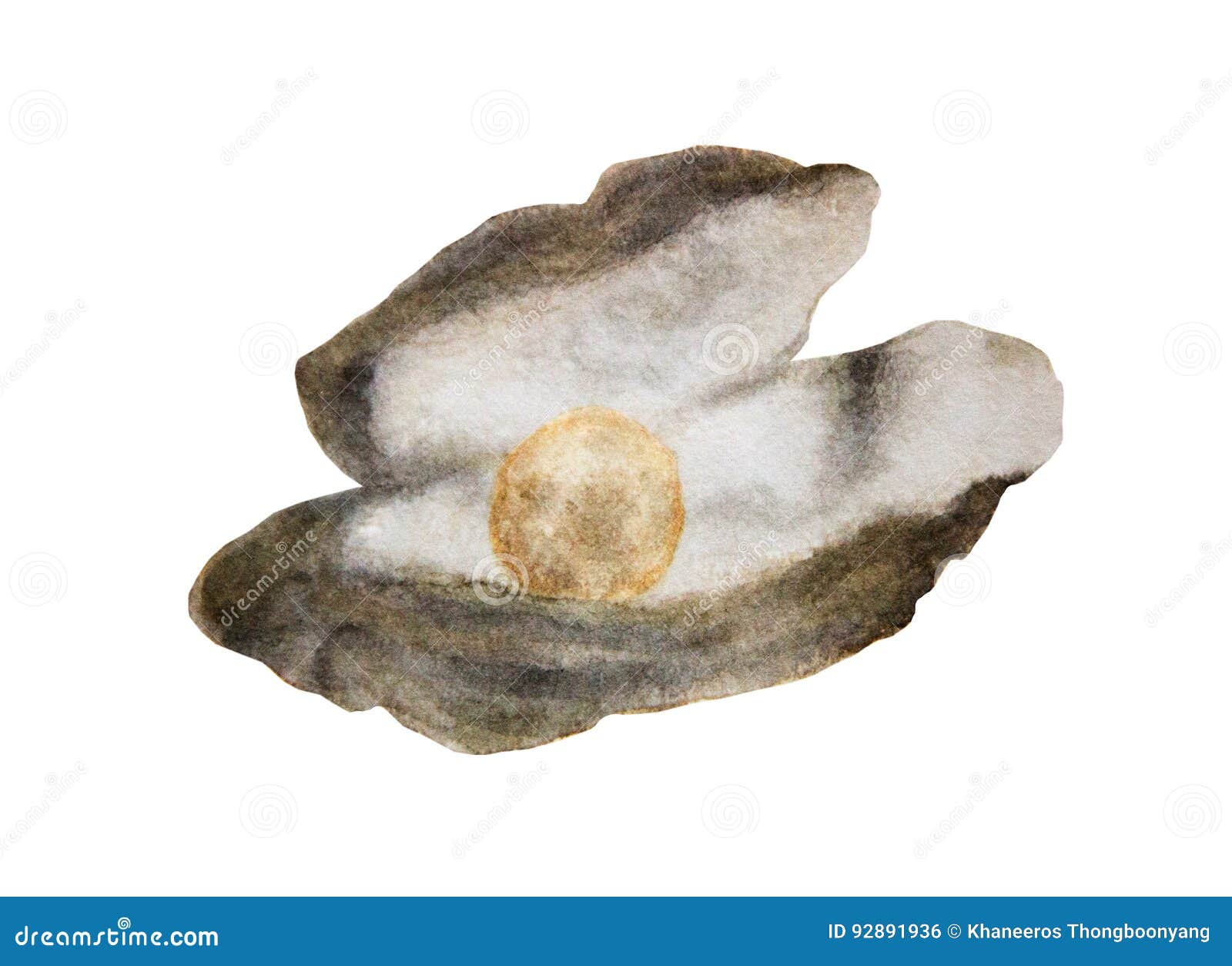 Watercolor Drawing of Pearl Stock Illustration - Illustration of ...