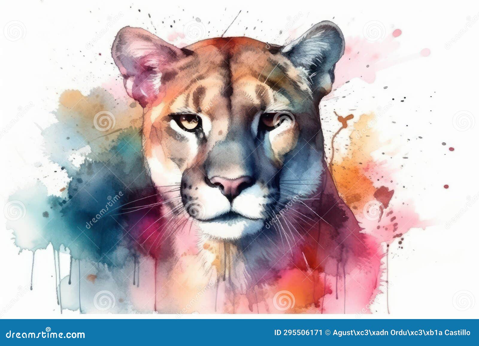 Watercolor Drawing of a Puma. Stock Illustration - Illustration of ...