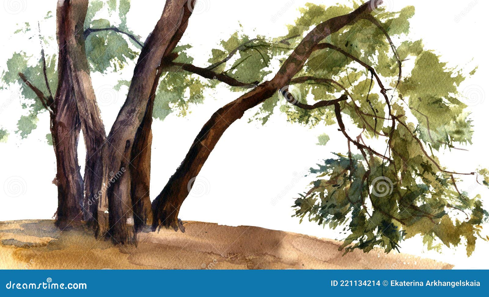 Watercolor drawing trees stock illustration. Illustration of tree ...