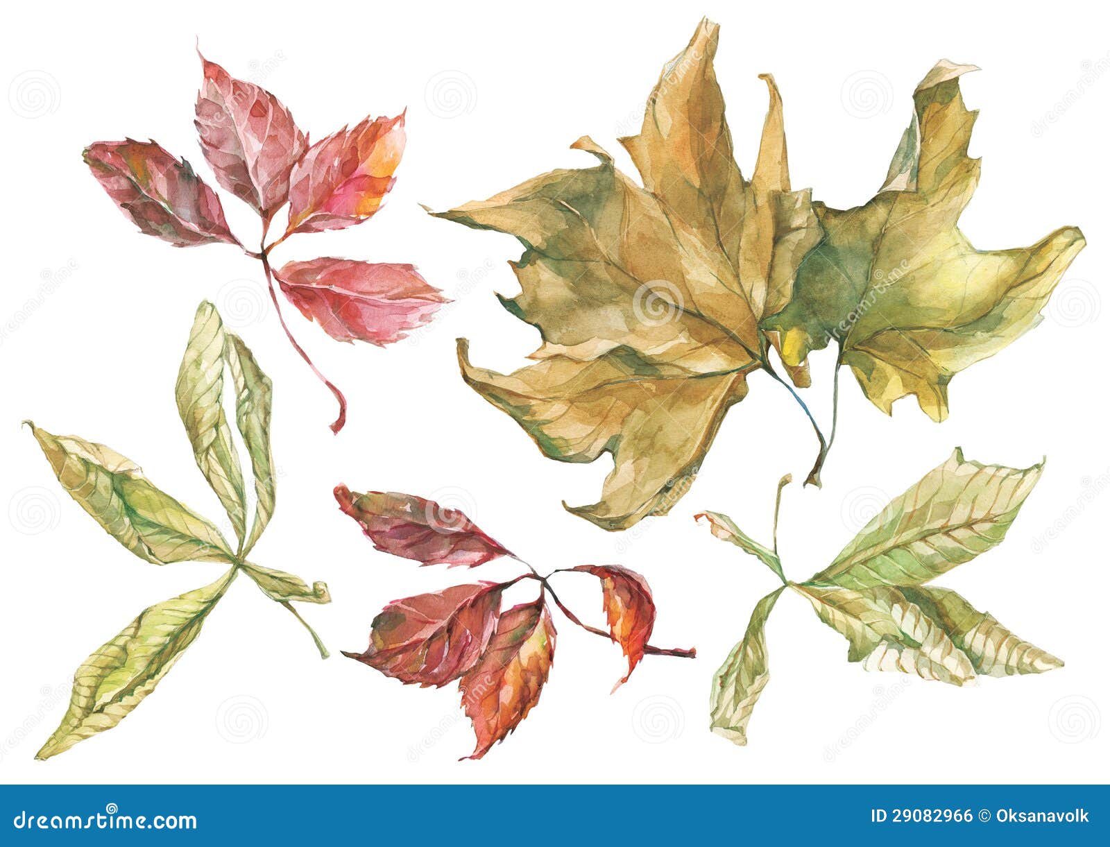 Watercolor Dry Autumn Leaves Stock Illustration - Illustration of ...