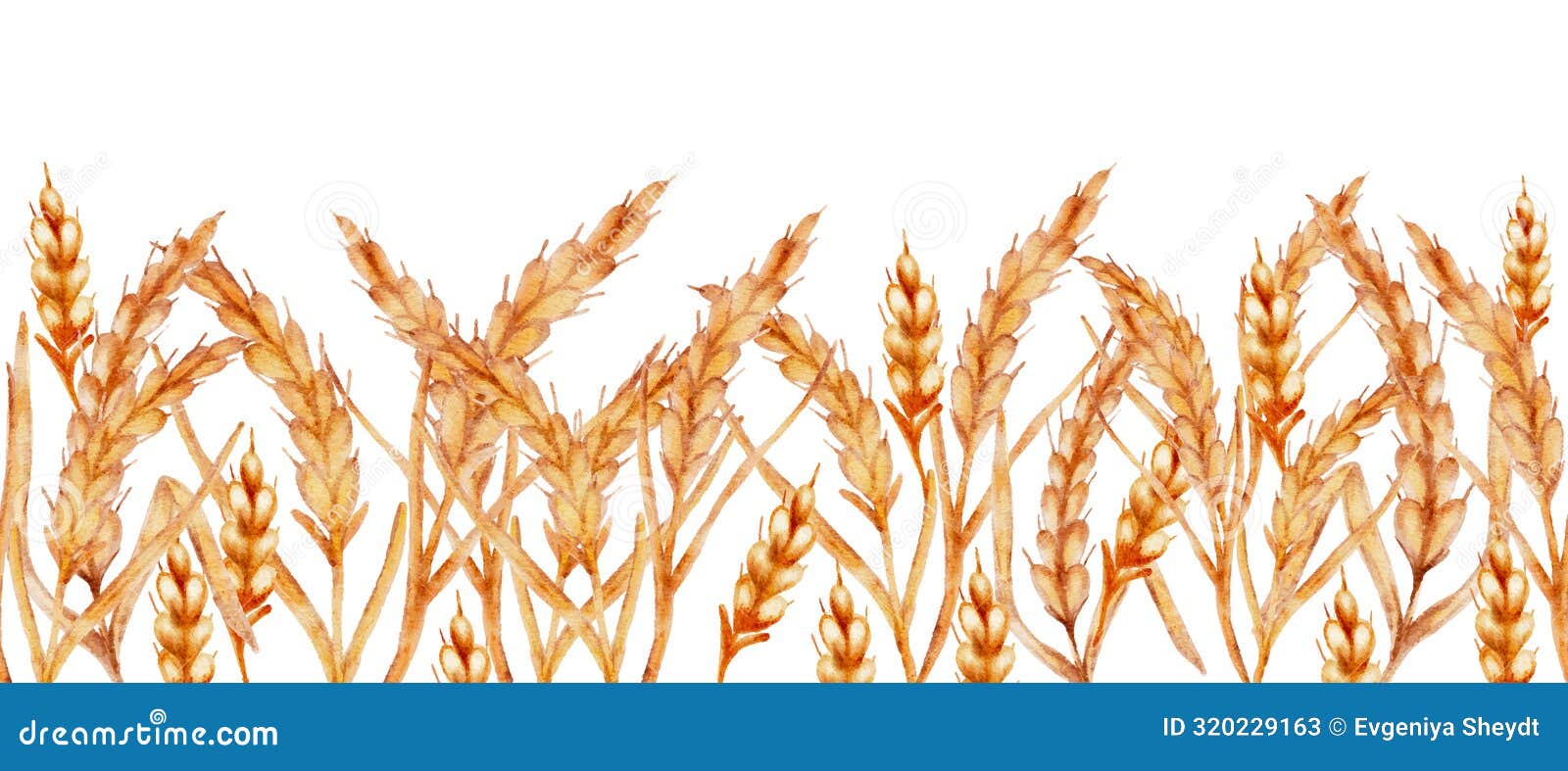 Watercolor Ears Of Wheat Frame Border Illustration Isolated On White ...