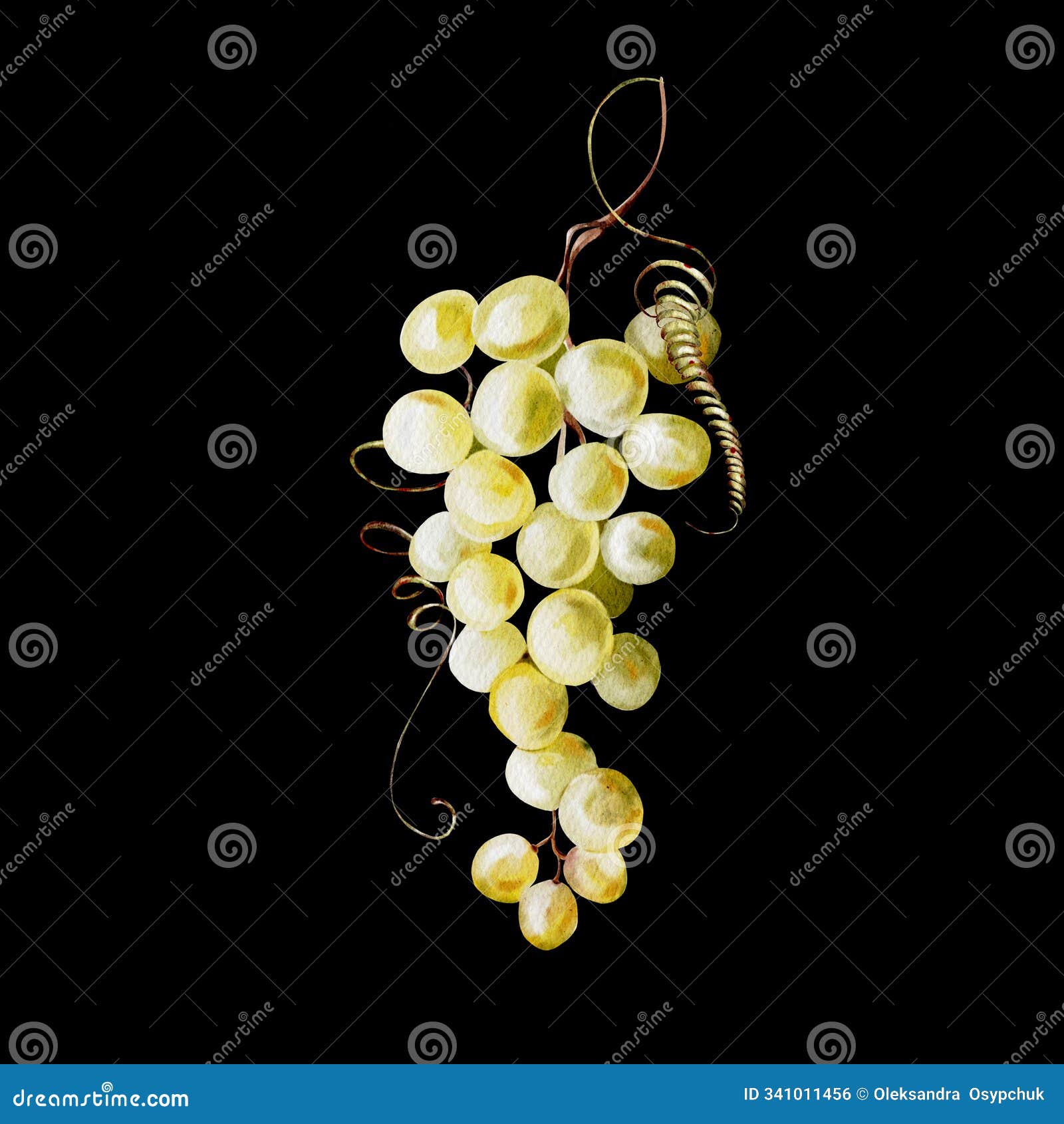 Watercolor Element Bunch of Grapes Stock Illustration - Illustration of ...