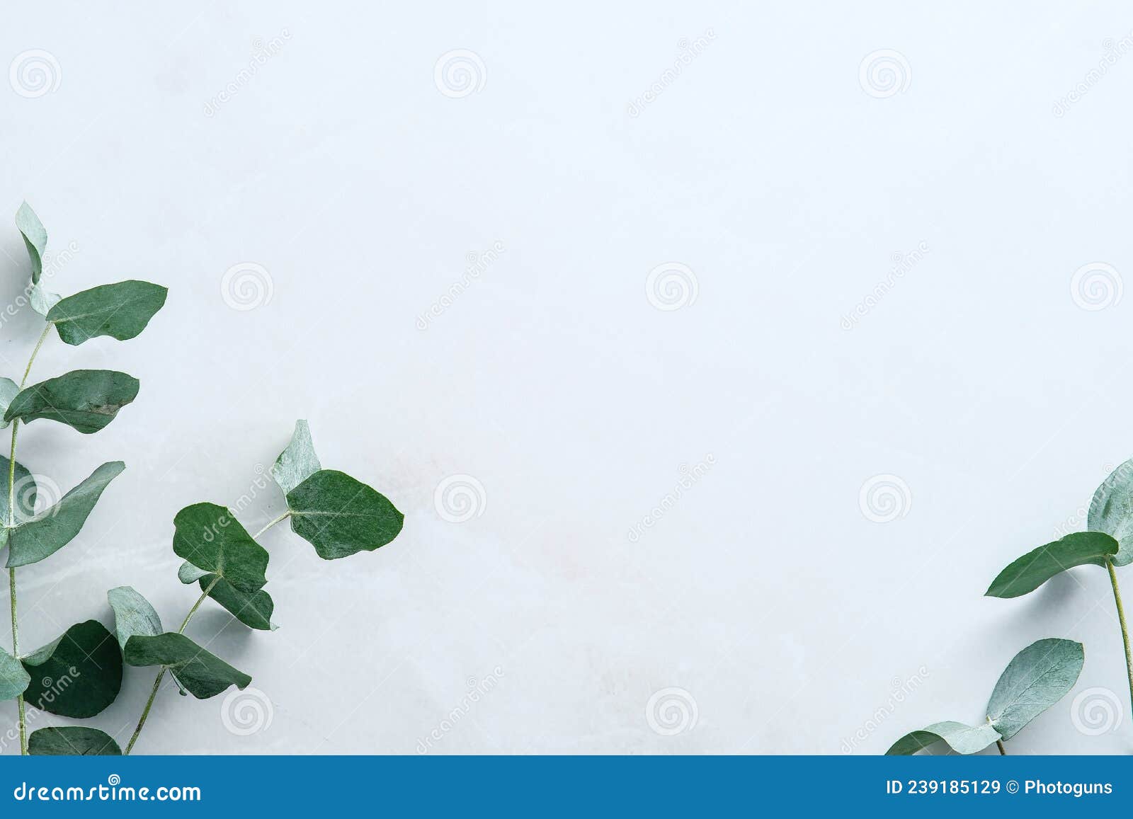 Watercolor Eucalyptus Branches on Marble Stone Table Top View. Floral ...