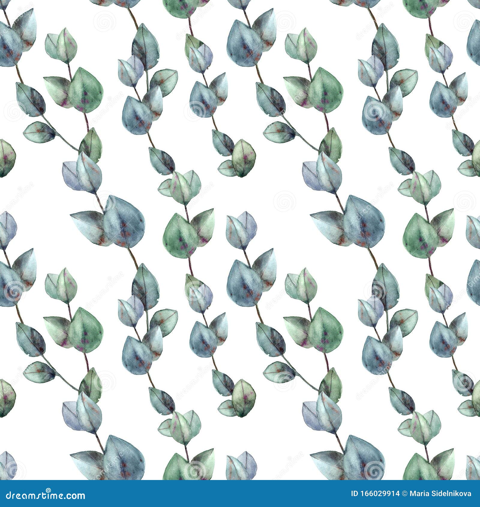 Watercolor Eucalyptus Branches Seamless Pattern. Stock Illustration ...