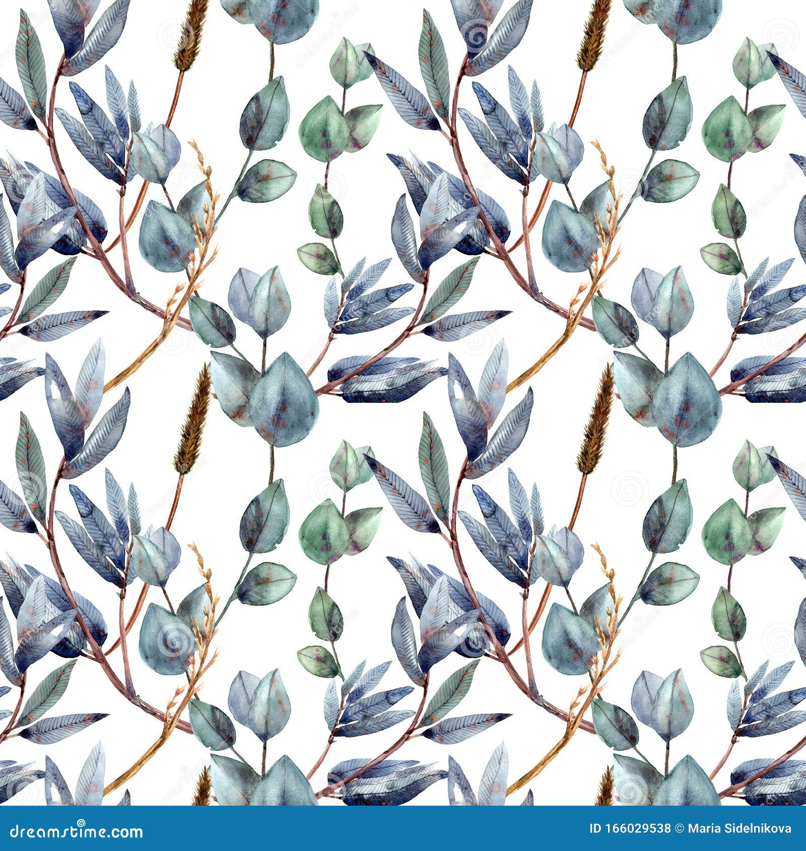 Watercolor Eucalyptus Branches Seamless Pattern Stock Photo - Image of ...