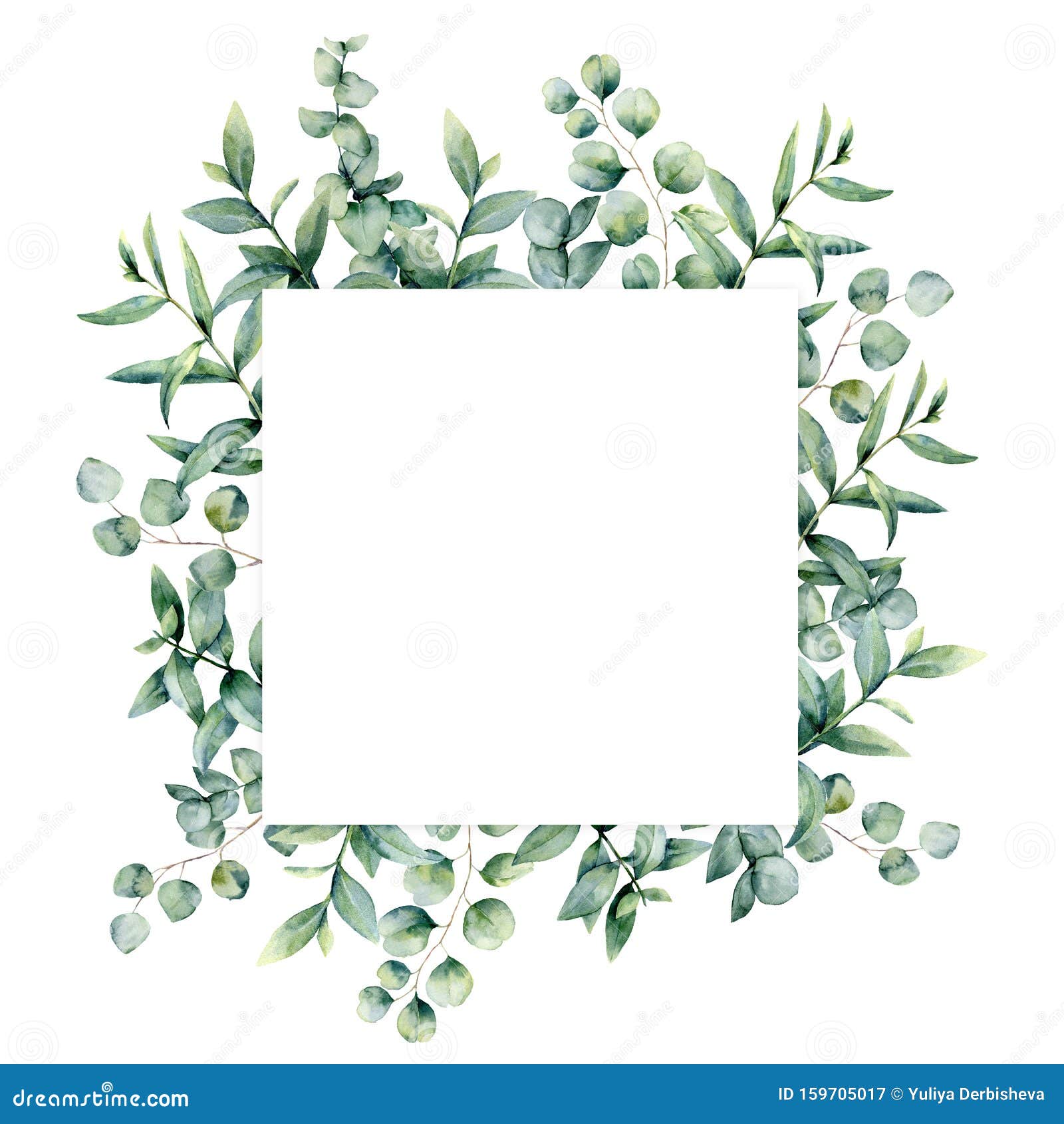Watercolor Eucalyptus Invitation Square Card. Hand Painted Illustration ... Watercolor Eucalyptus Invitation Square Card. Hand Painted Illustration ...