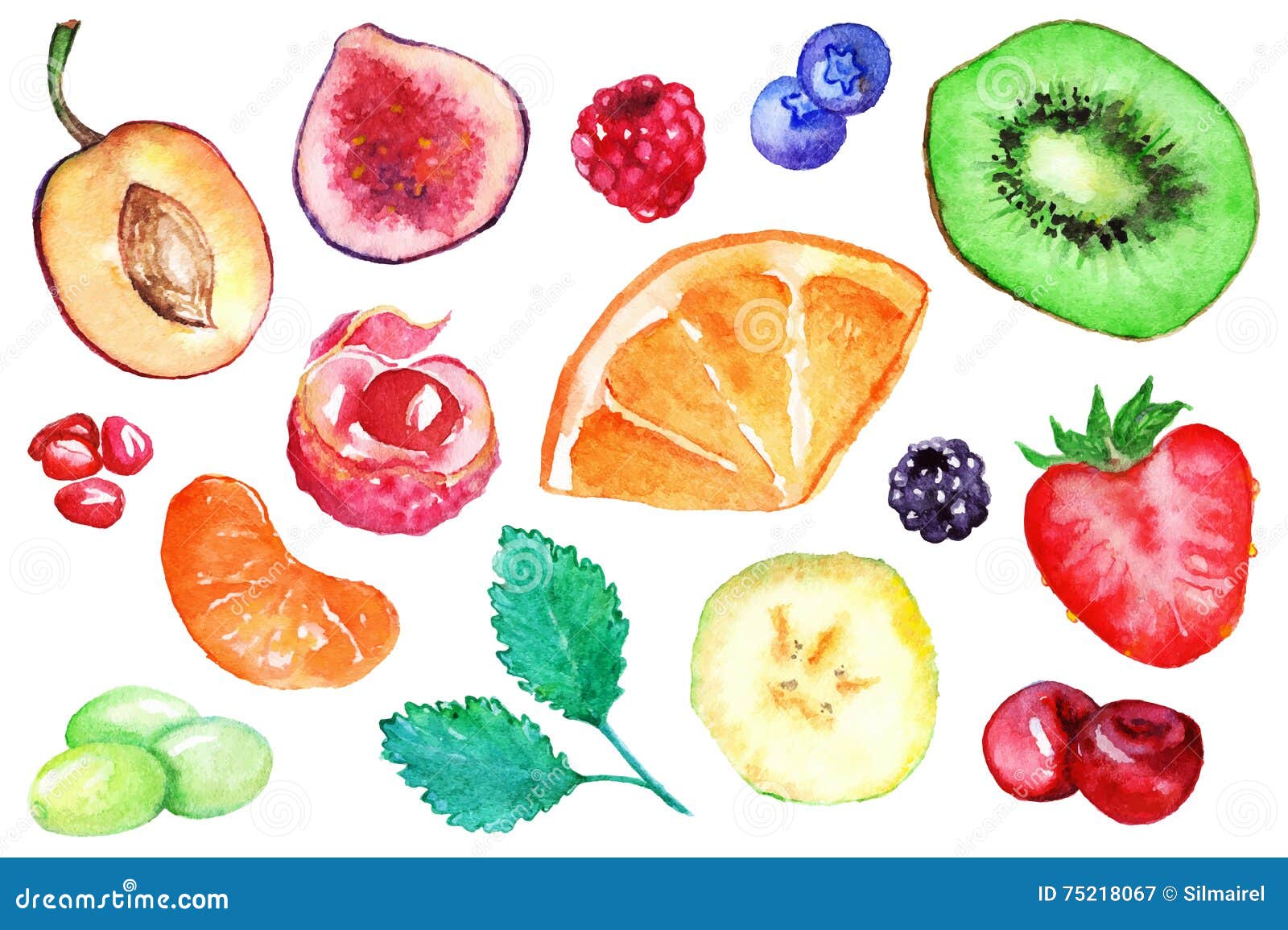 Fruit And Berry Word Search Puzzle Cartoon Vector | CartoonDealer.com ...