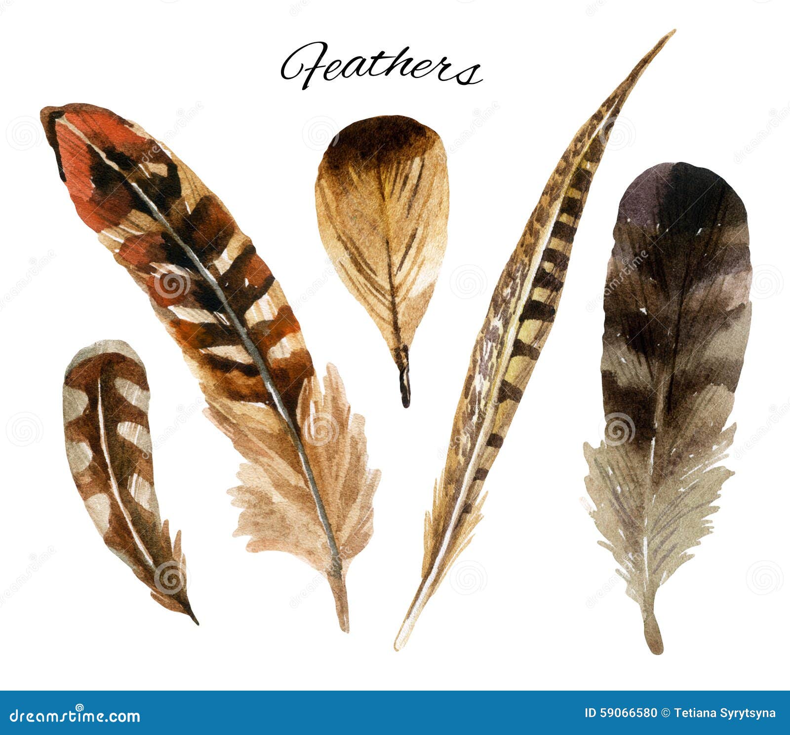 Watercolor feather set stock illustration. Illustration of decoration ...