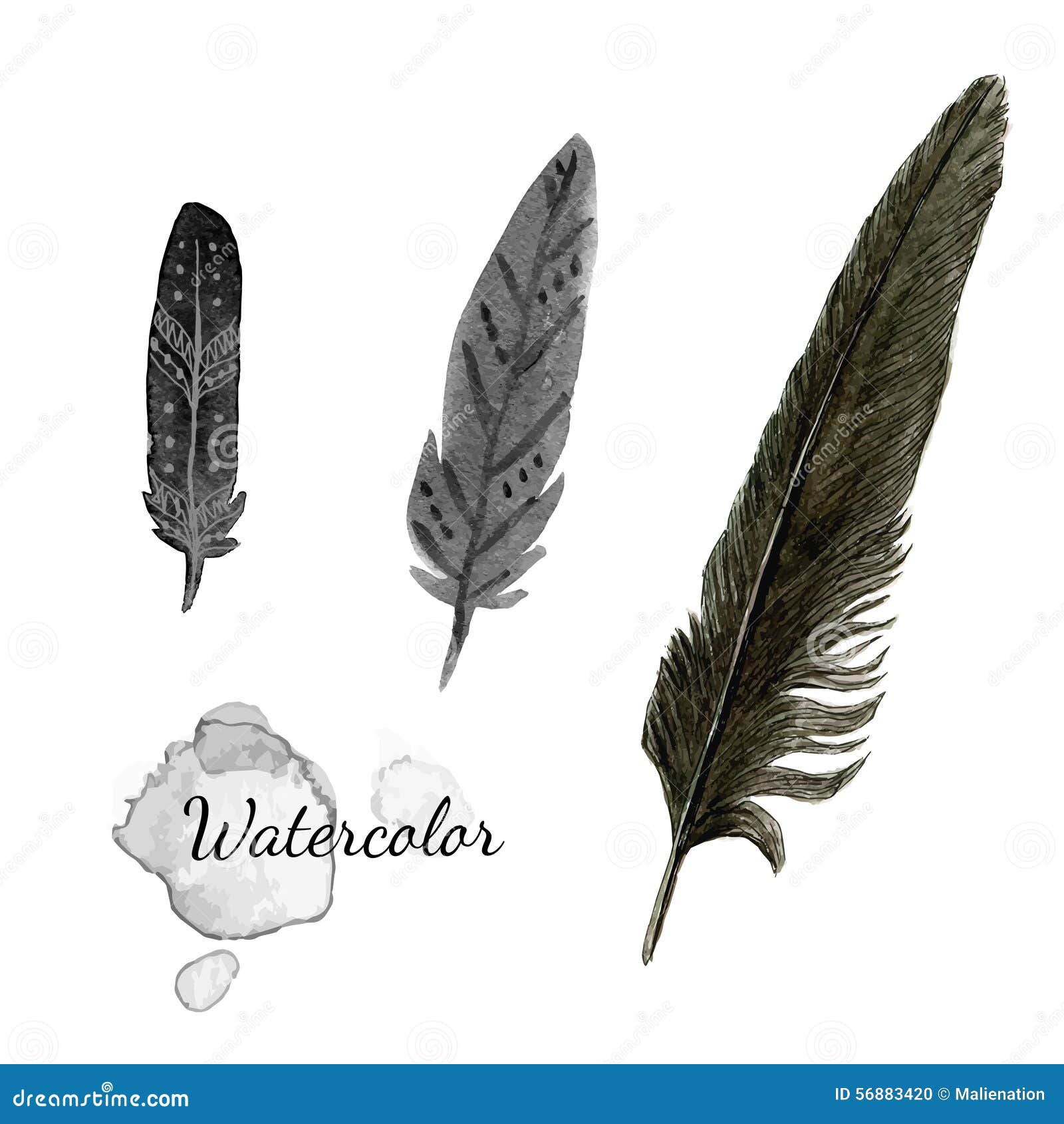 Watercolor Feathers. Black Feather of Crow. Hand Drawn Vector Set ...