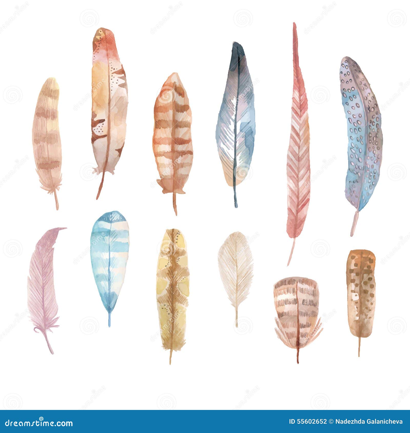 Watercolor feathers set stock vector. Illustration of native - 55602652