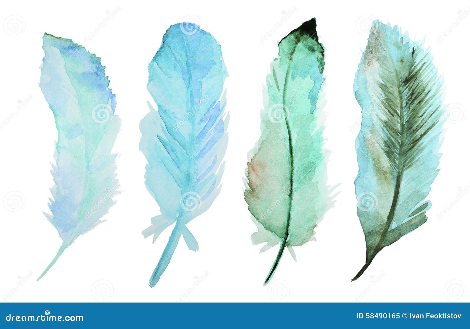 Watercolor feathers stock illustration. Illustration of isolated - 58490165